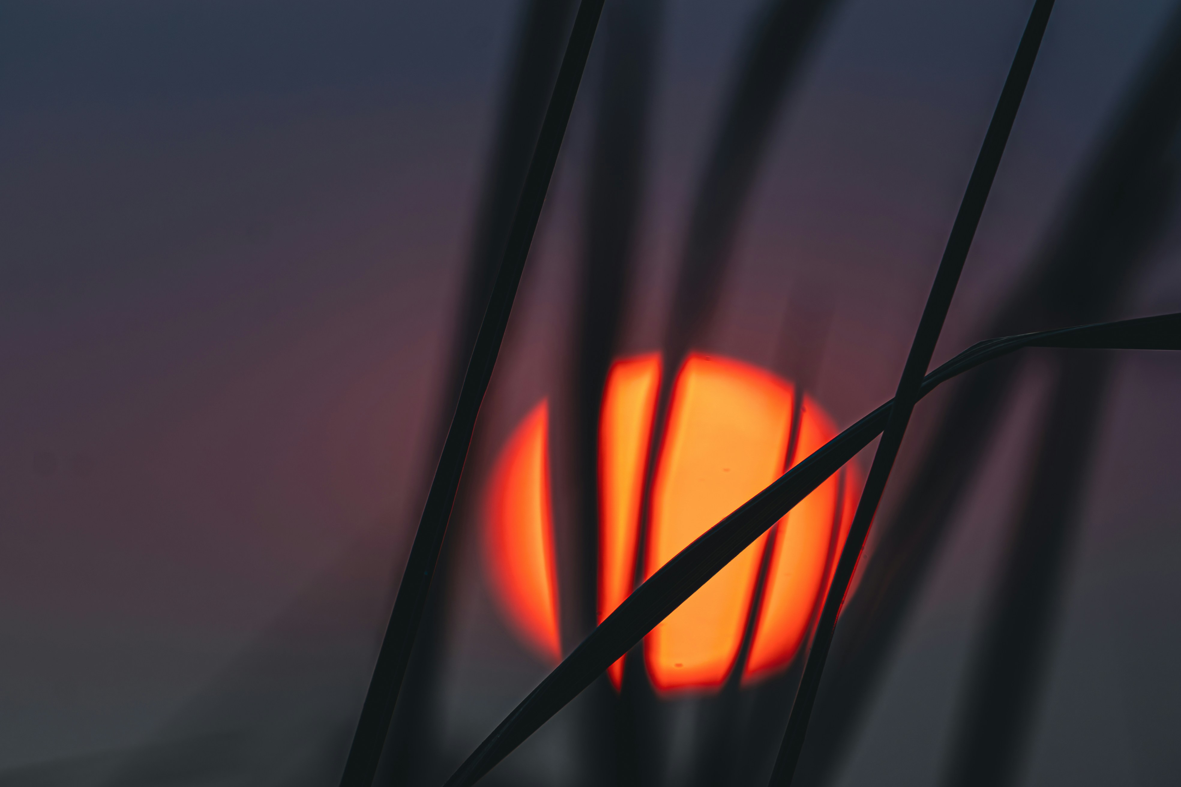 Red Orb Through Reed Silhouettes at Dusk