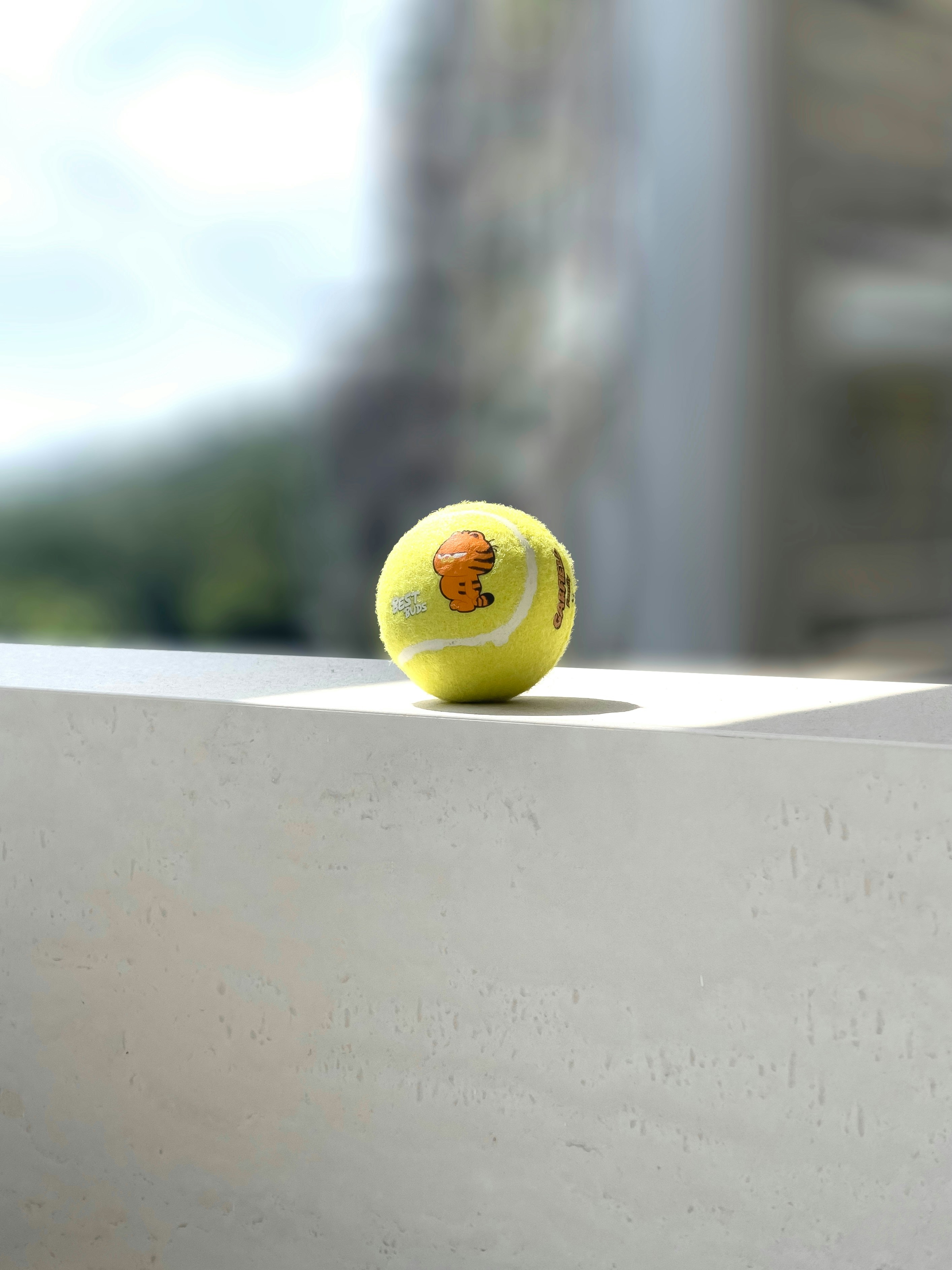 Lone Tennis Ball Perched on a Concrete Ledge