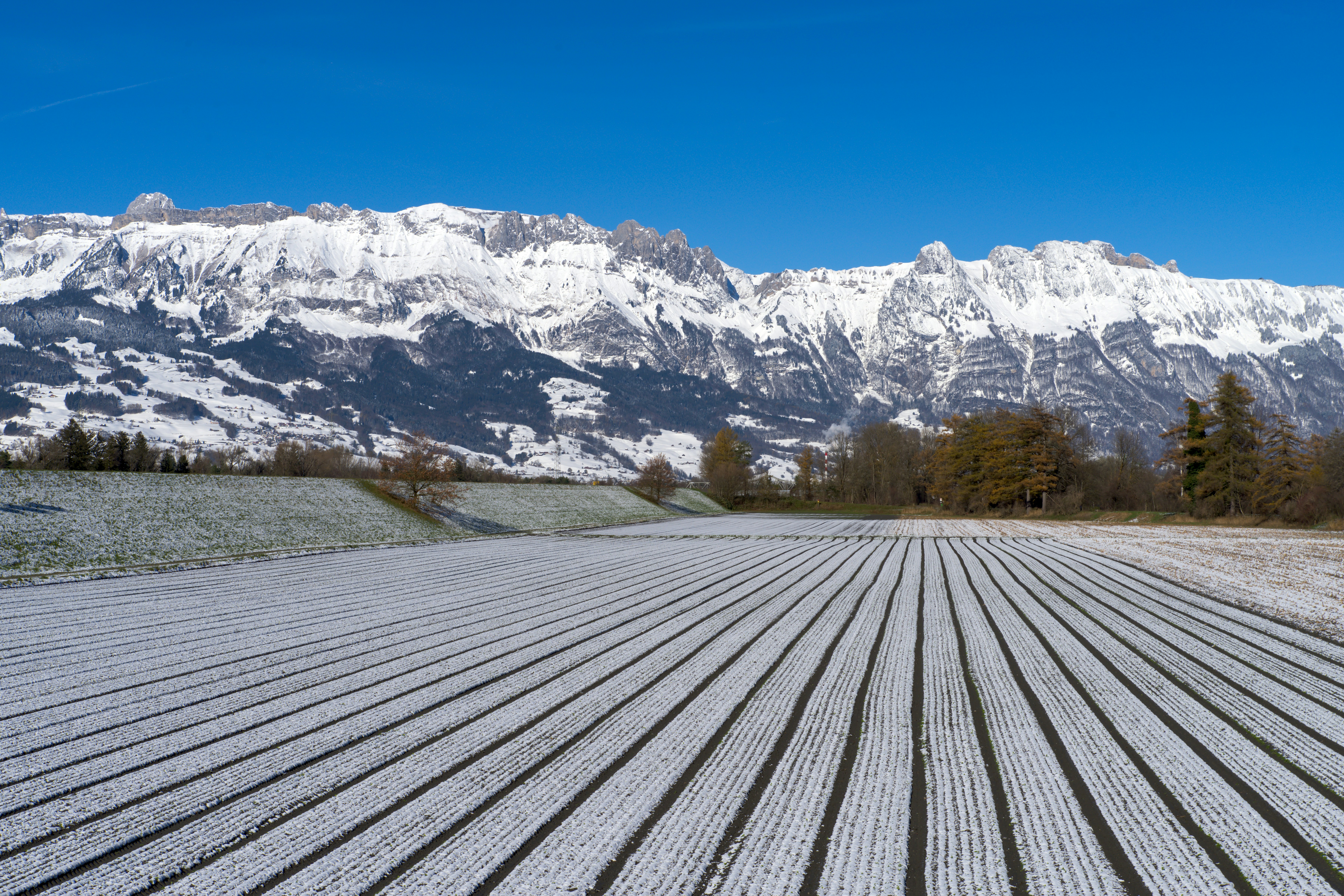 Glistening Striations: A Snow-Striped Path to Alpine Peaks