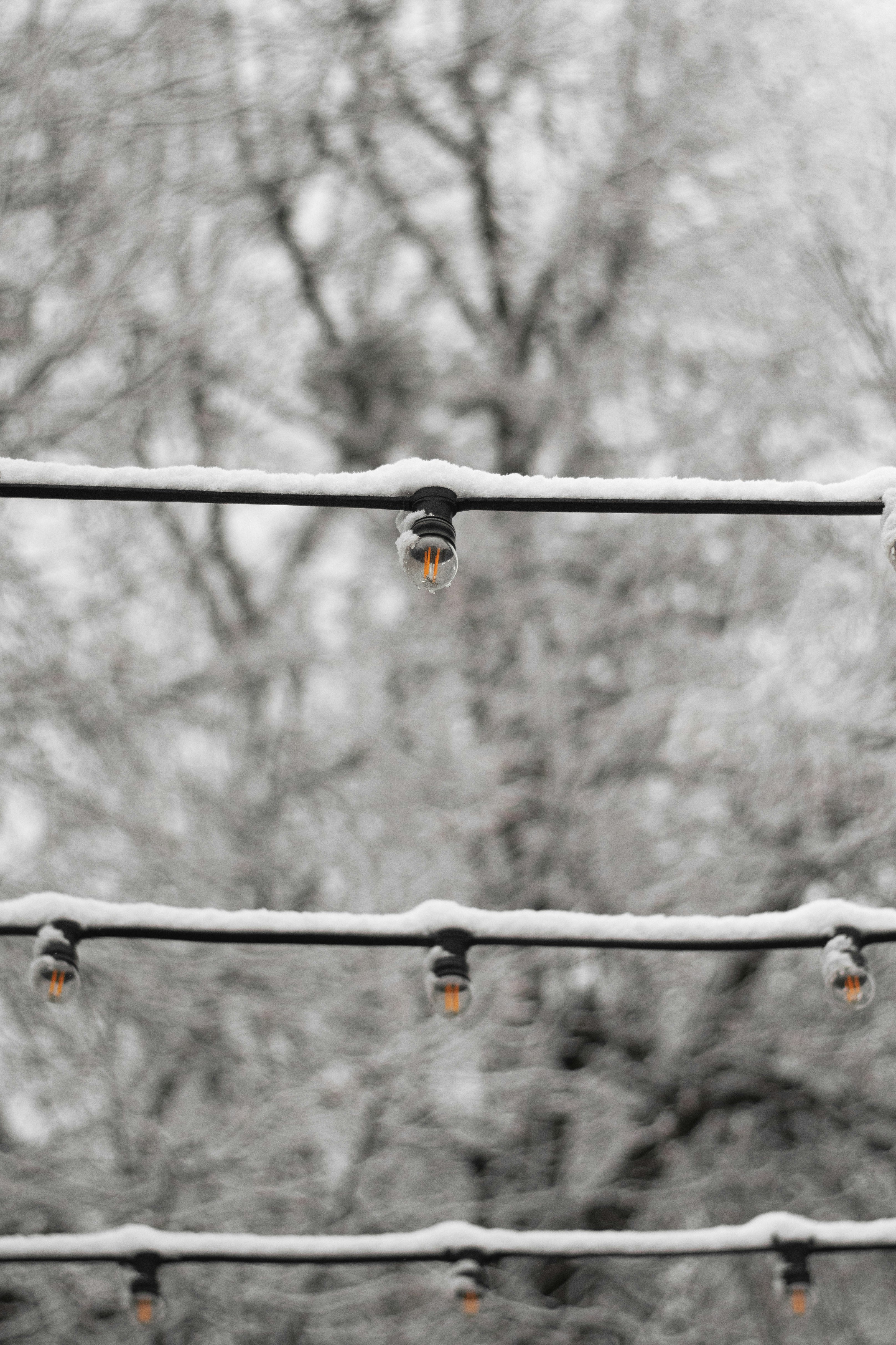 A street light covered in snow with trees in the background photo ...