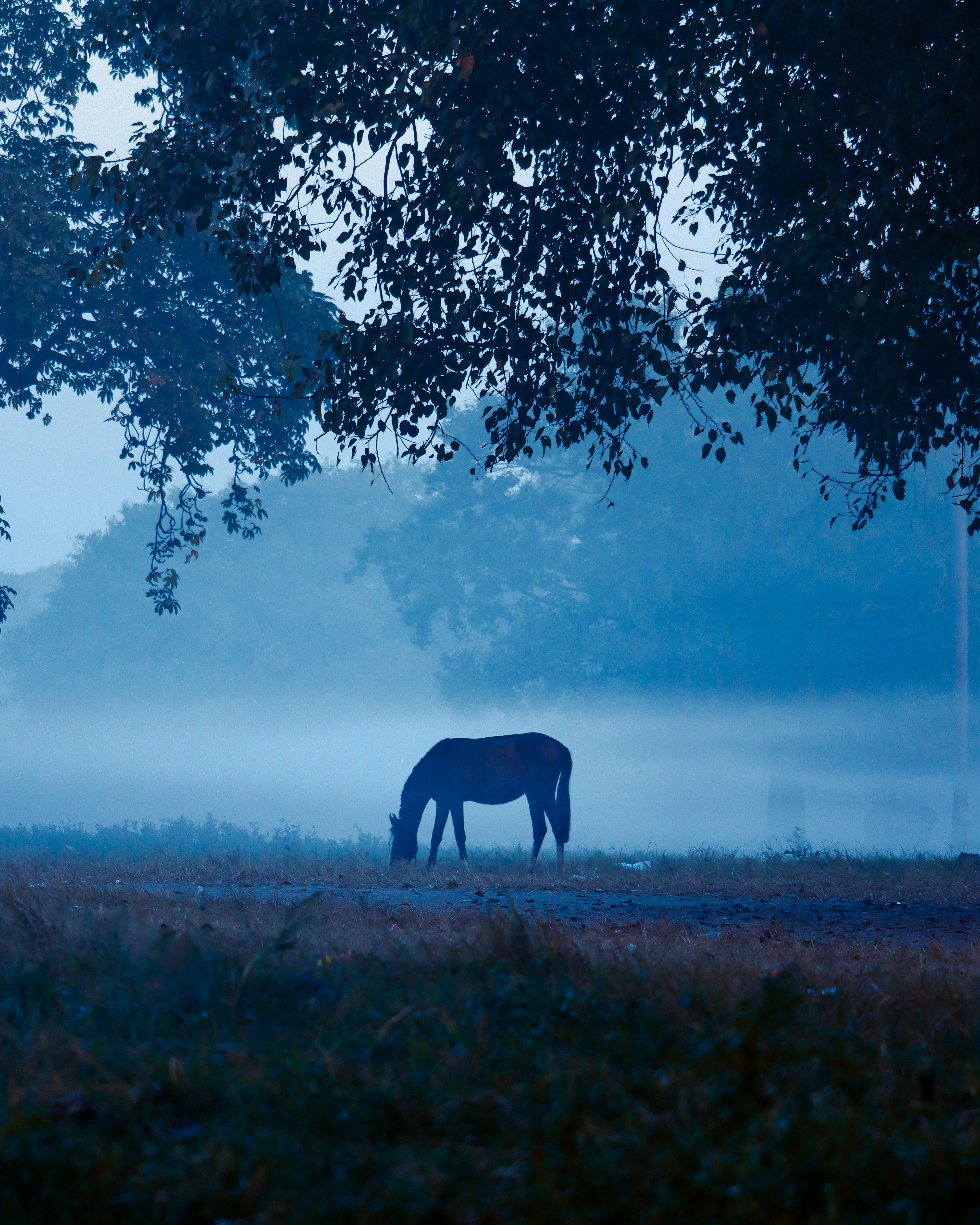 Photo by Rohit Sharma with Canon EOS M50 Mark II