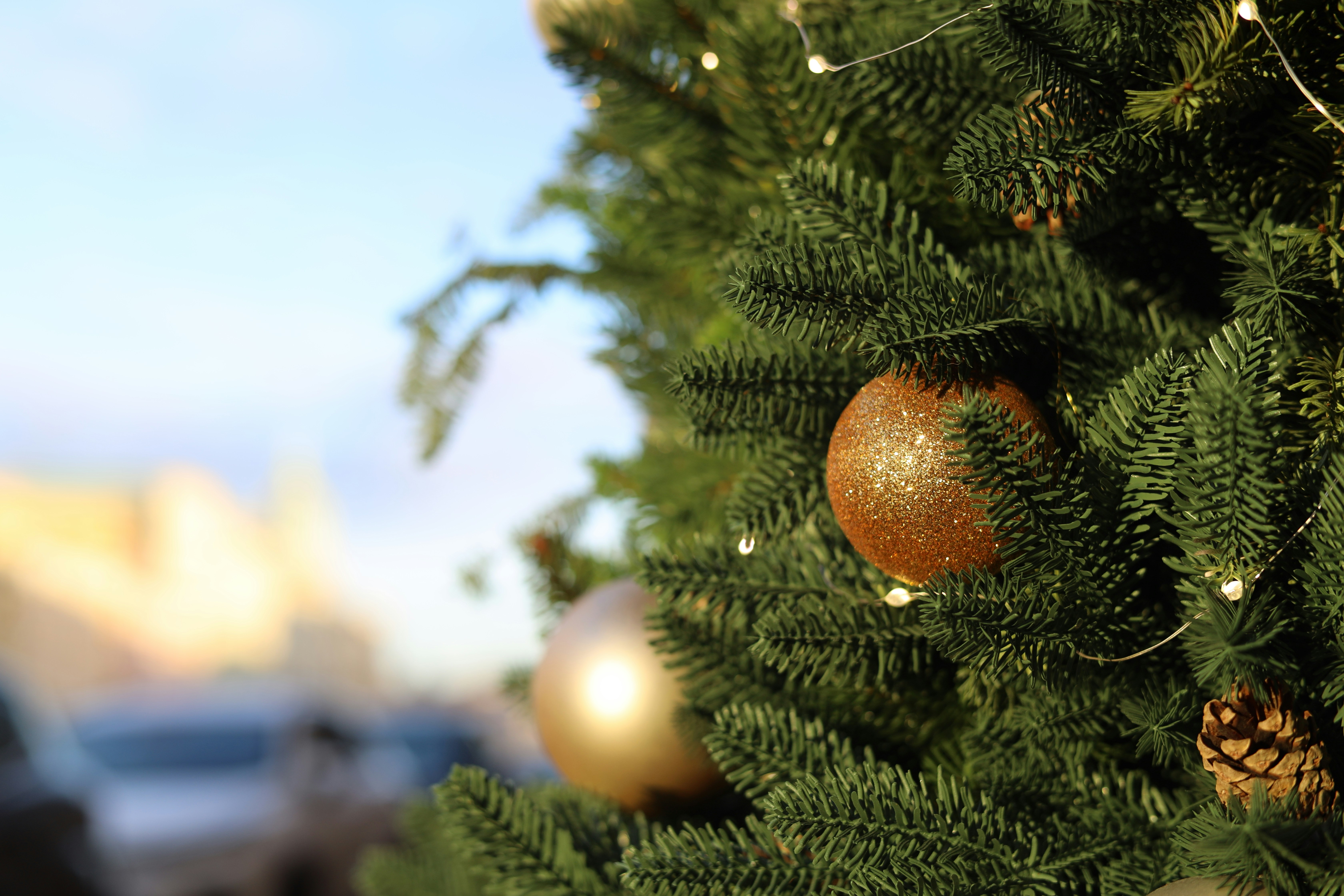 A close up of a christmas tree with ornaments photo – Free Christmas ...