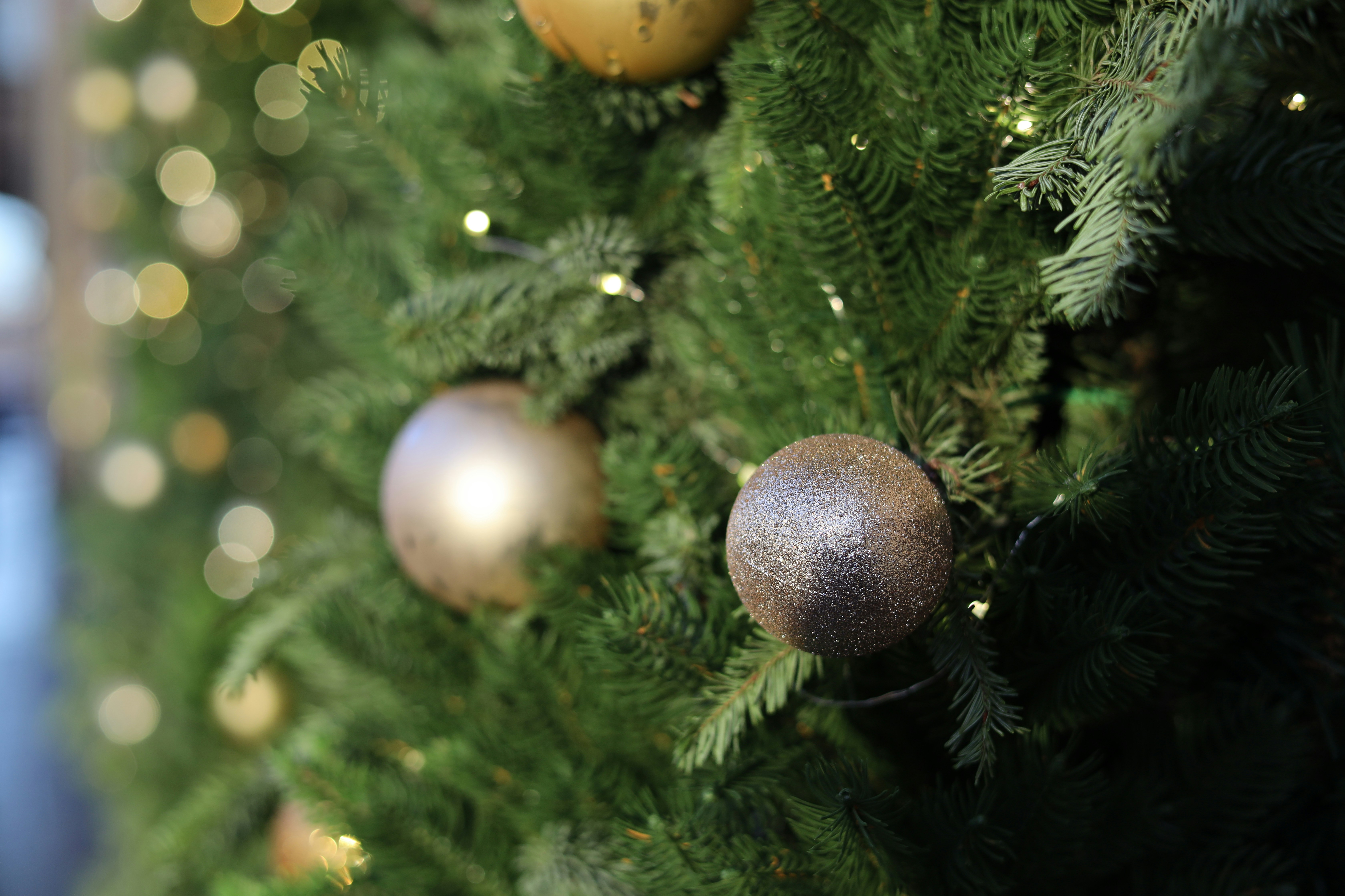 Photo by Anastassia Anufrieva with Canon EOS R