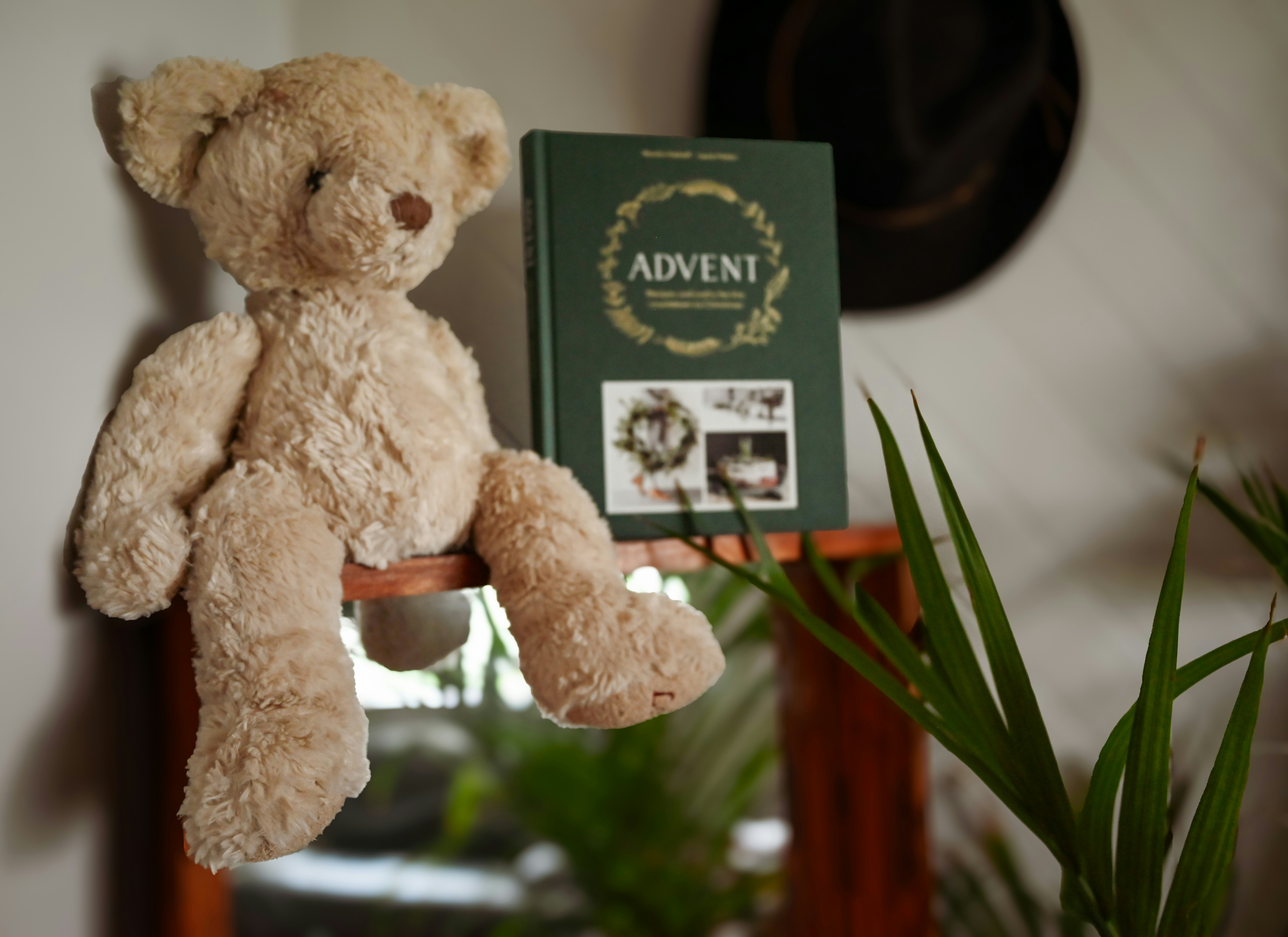 Soft-Textured Moment: Plush Bear, Advent Card, and Dappled Light
