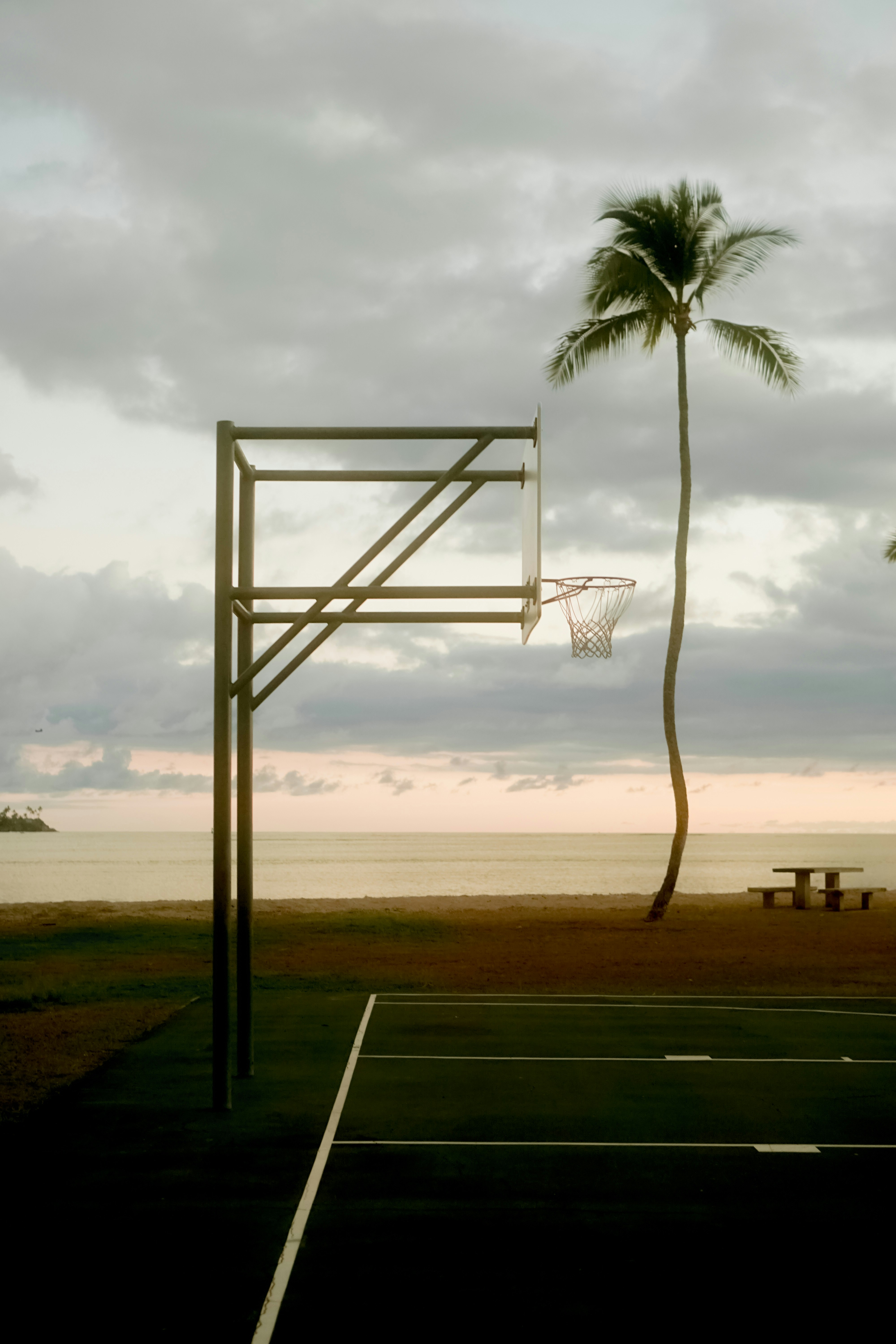 Twilight Rim: A Lone Basketball Hoop Framed by a Seaside Palm