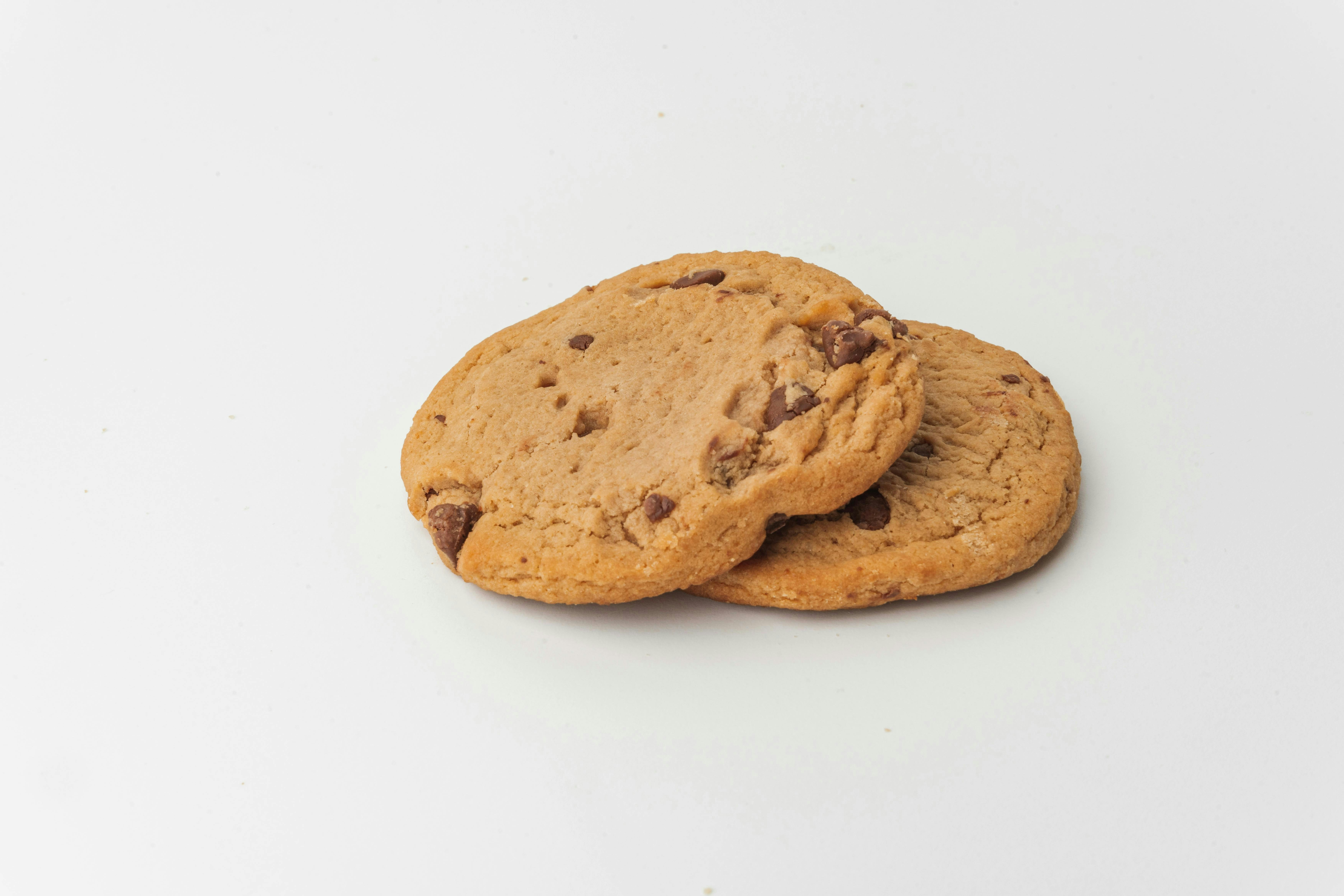 Two chocolate chip cookies on a white plate photo – Free Food Image on ...