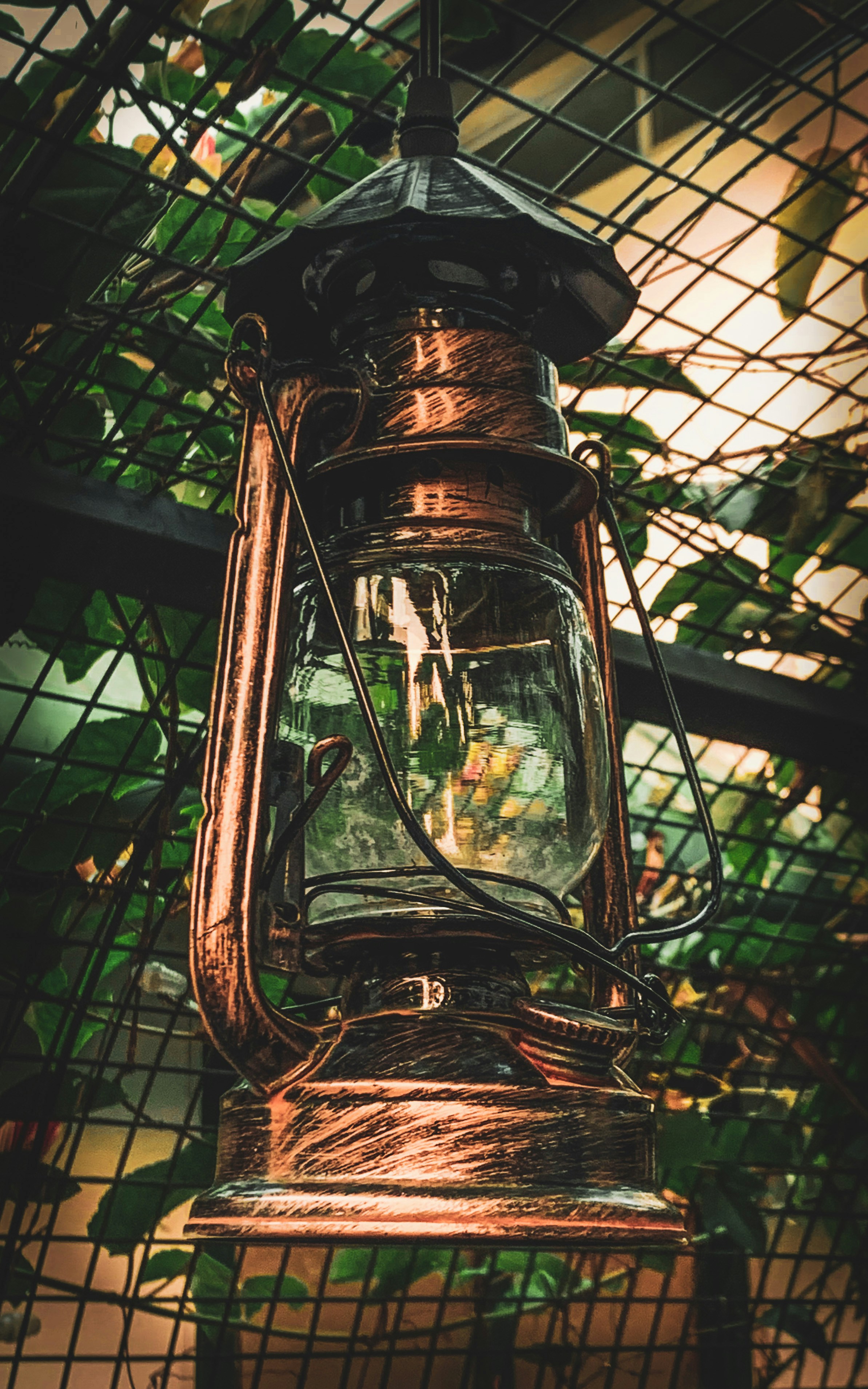 Copper Lantern in a Garden Grid: Warm Glow Through Glass and Foliage