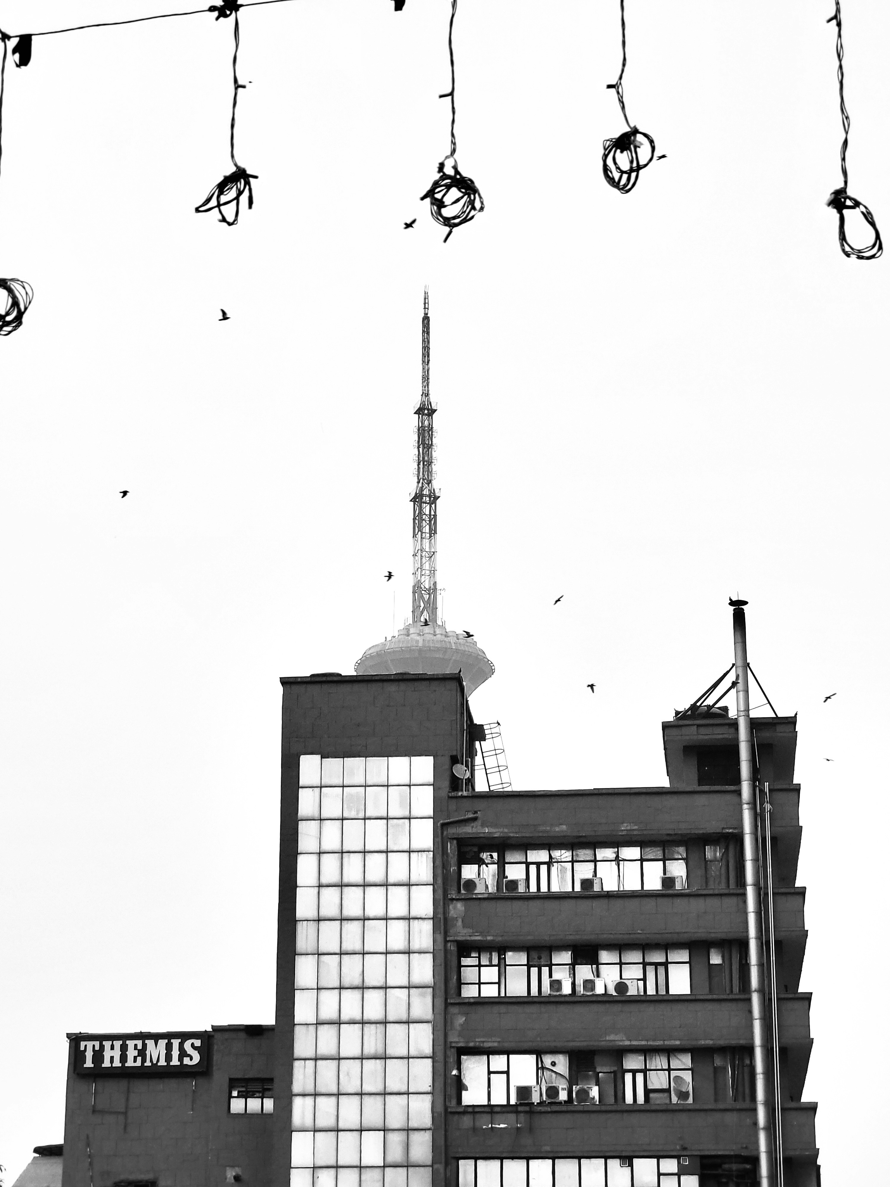 Skyline's Spine: Themis Tower Pierces a Monochrome Rooftop