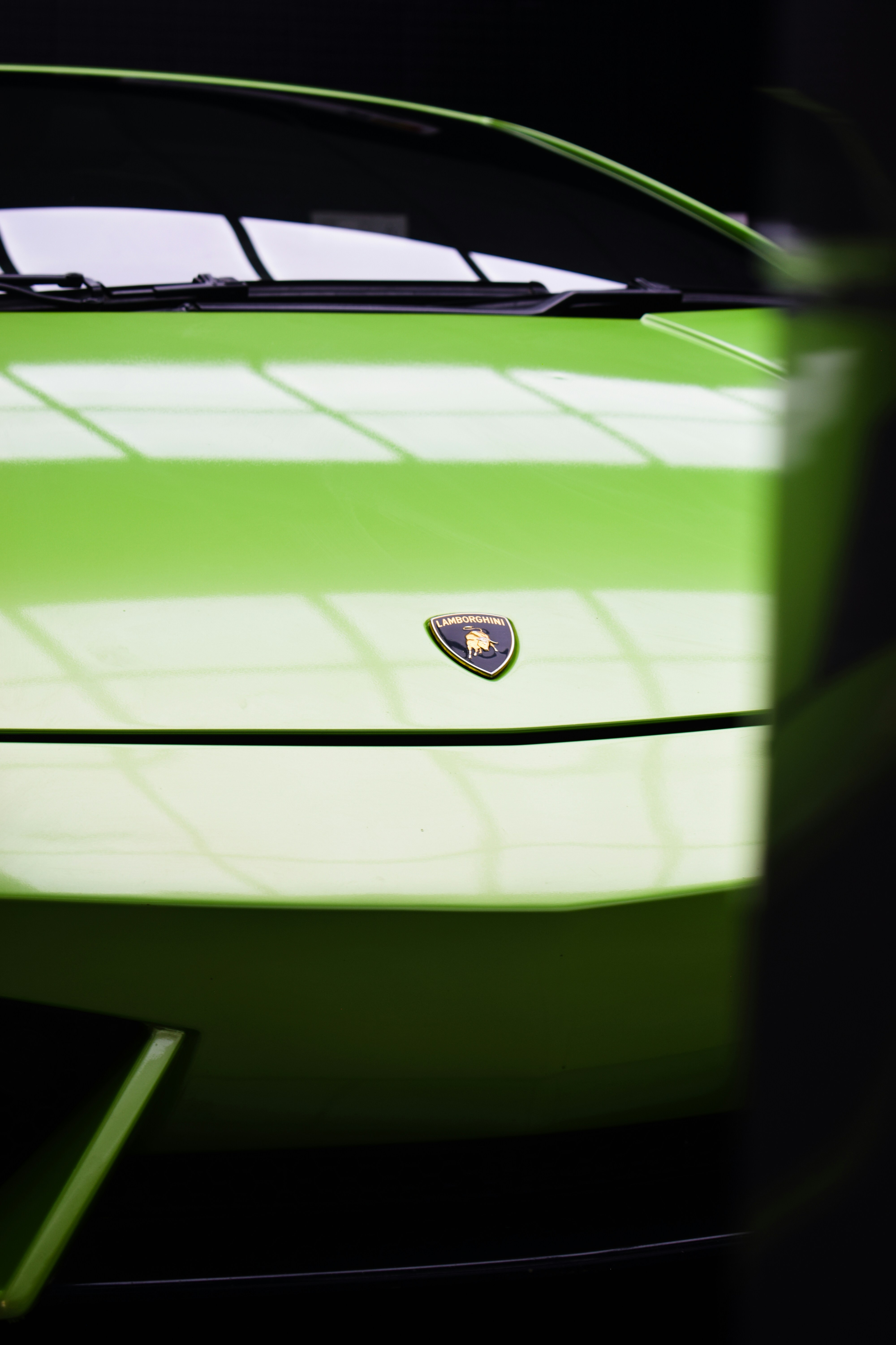 Emerald Lamborghini Crest: a close-up study of gloss and grid reflections