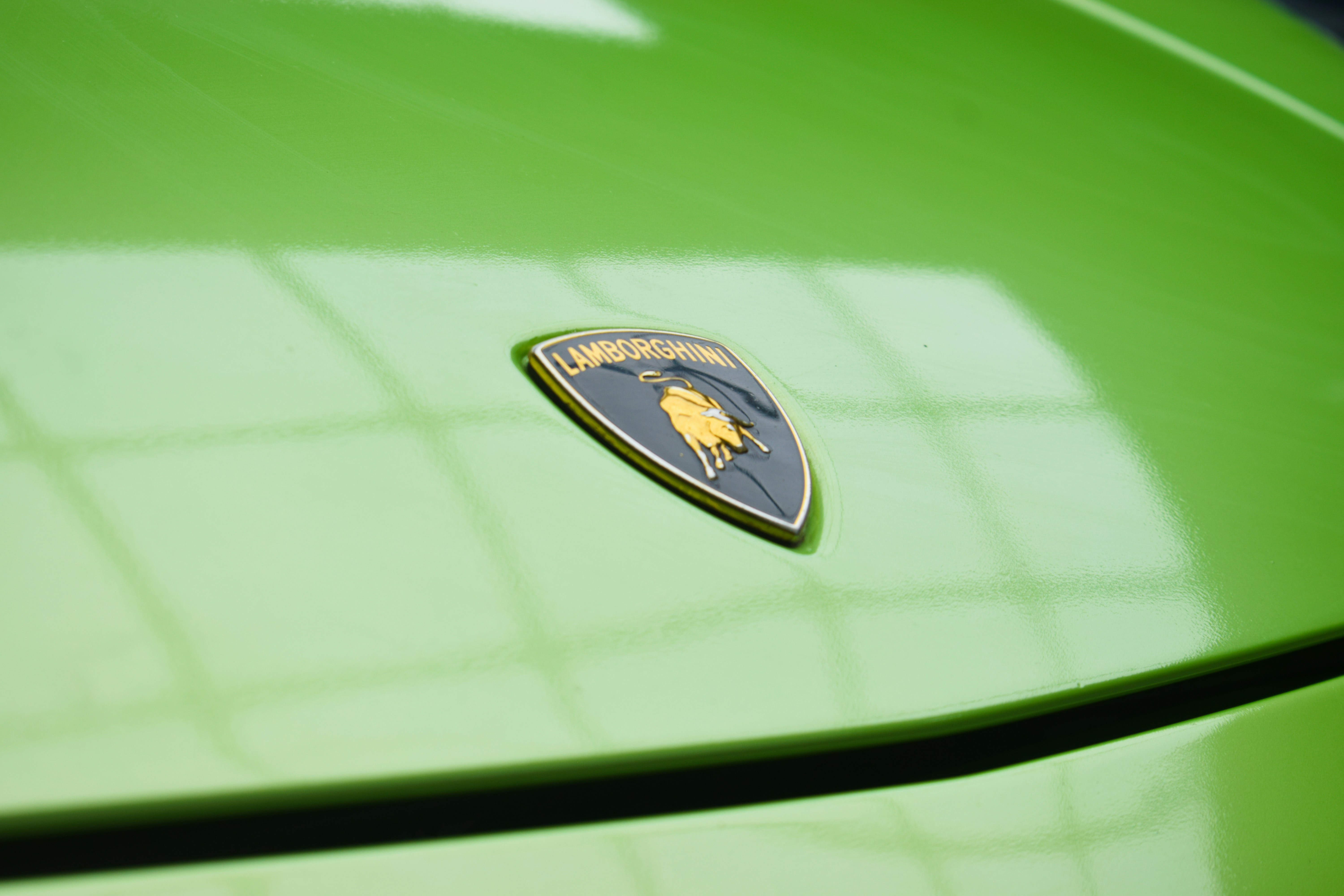 Close-up of a neon green Lamborghini hood with the brand's emblem prominently displayed.