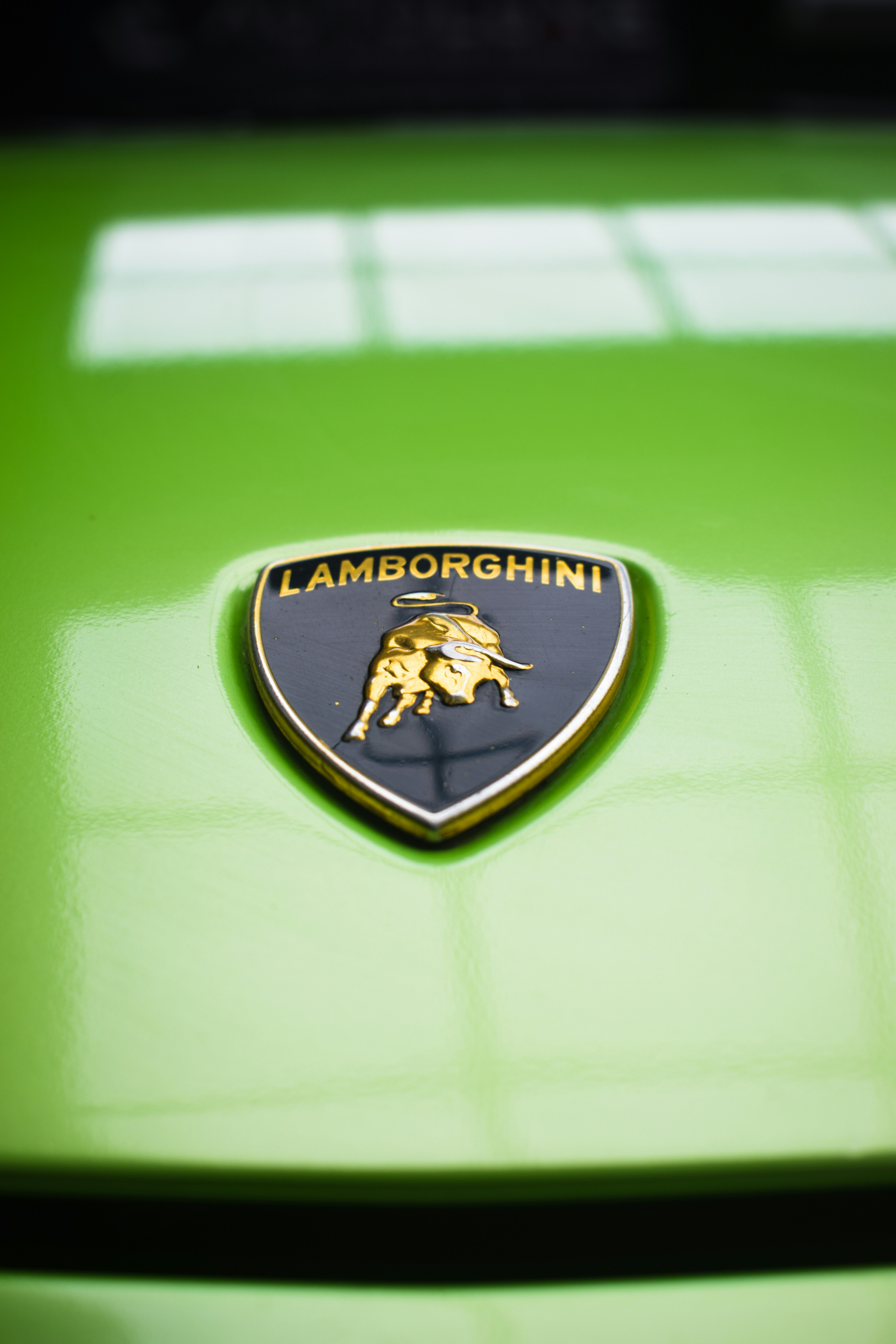 Neon Lime Hood: Close-Up of a Lamborghini Crest