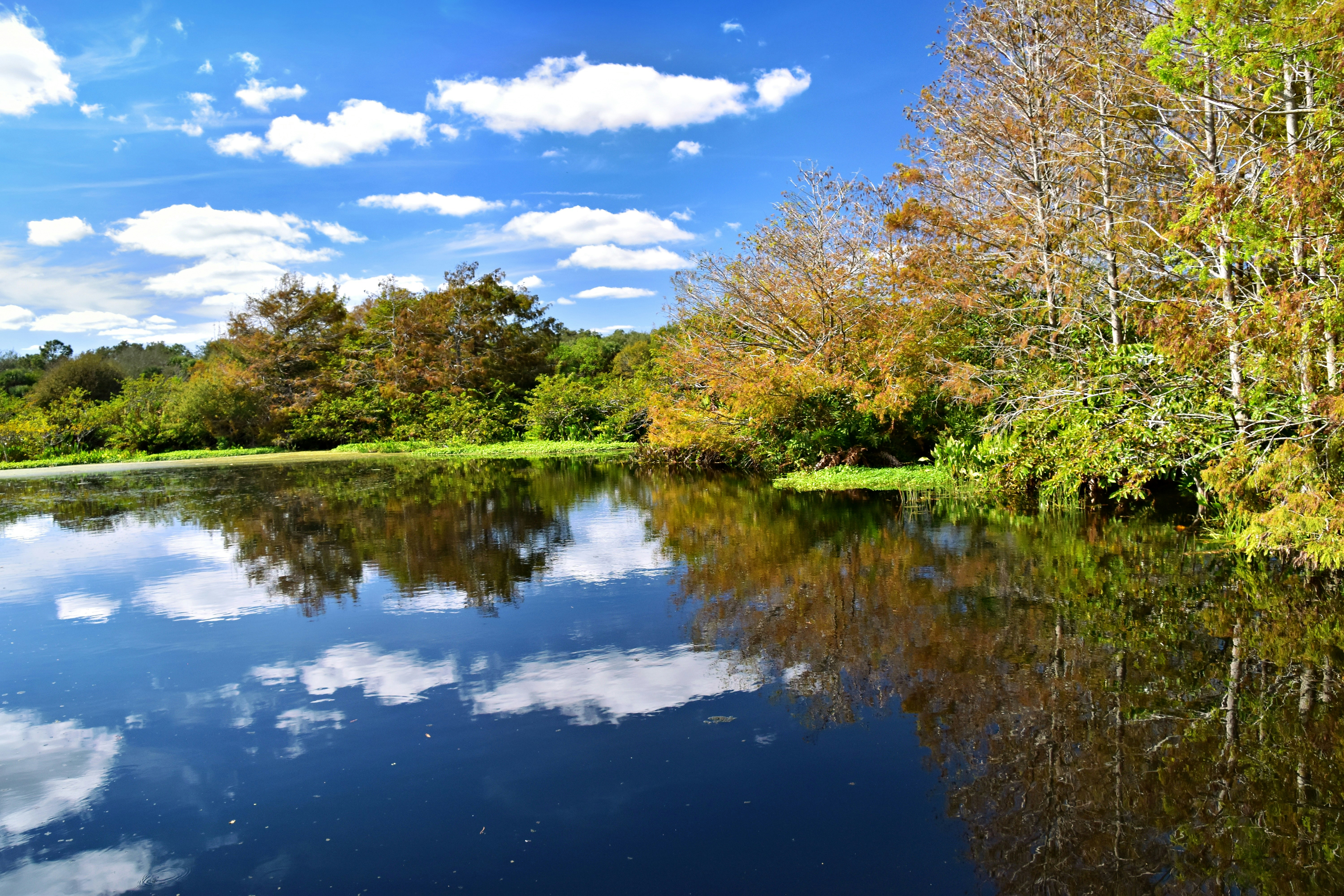 Serene lake reflecting a vibrant autumn landscape under a clear blue sky.