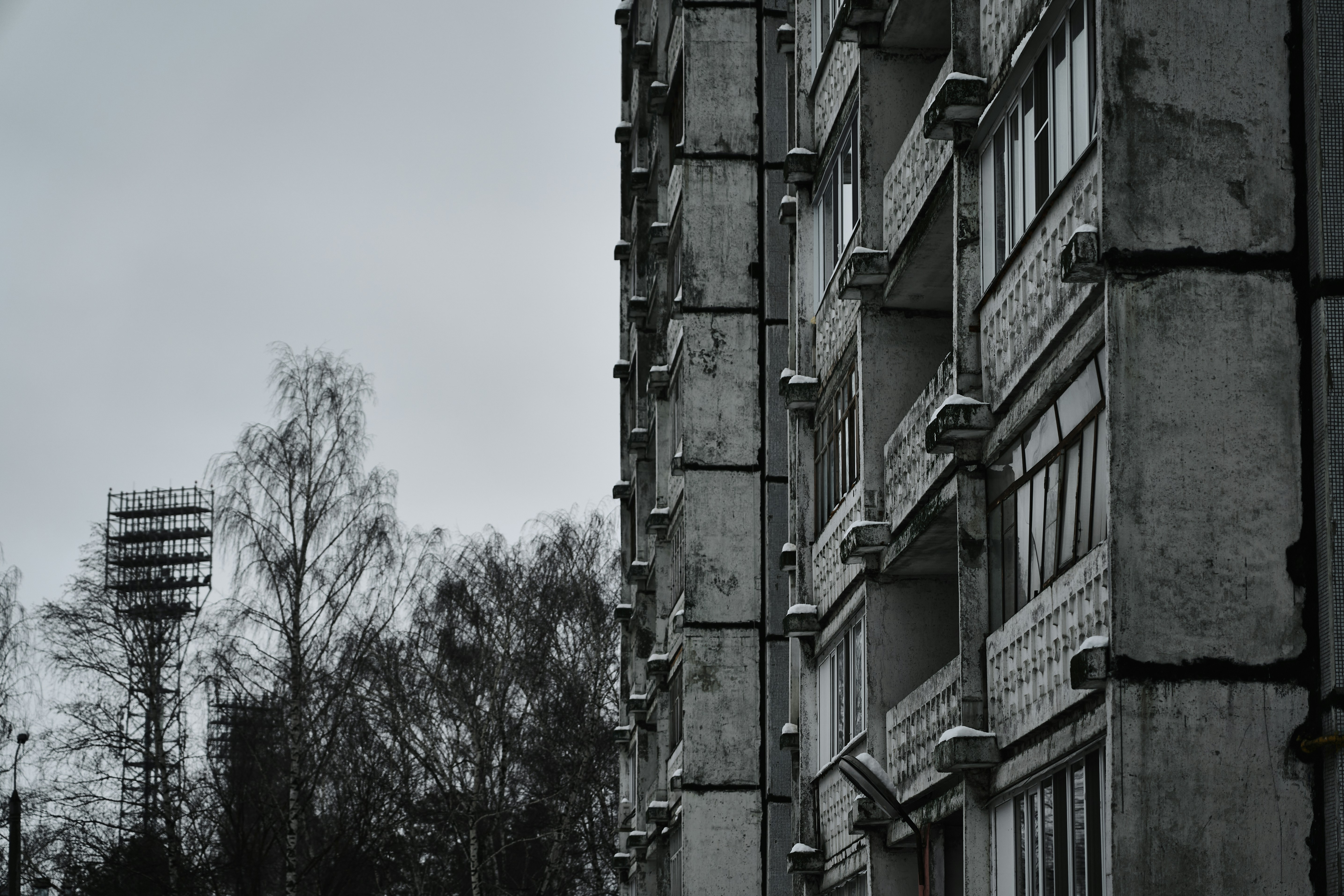 Photo by Maxim Tolchinskiy with Sony Alpha 7 III