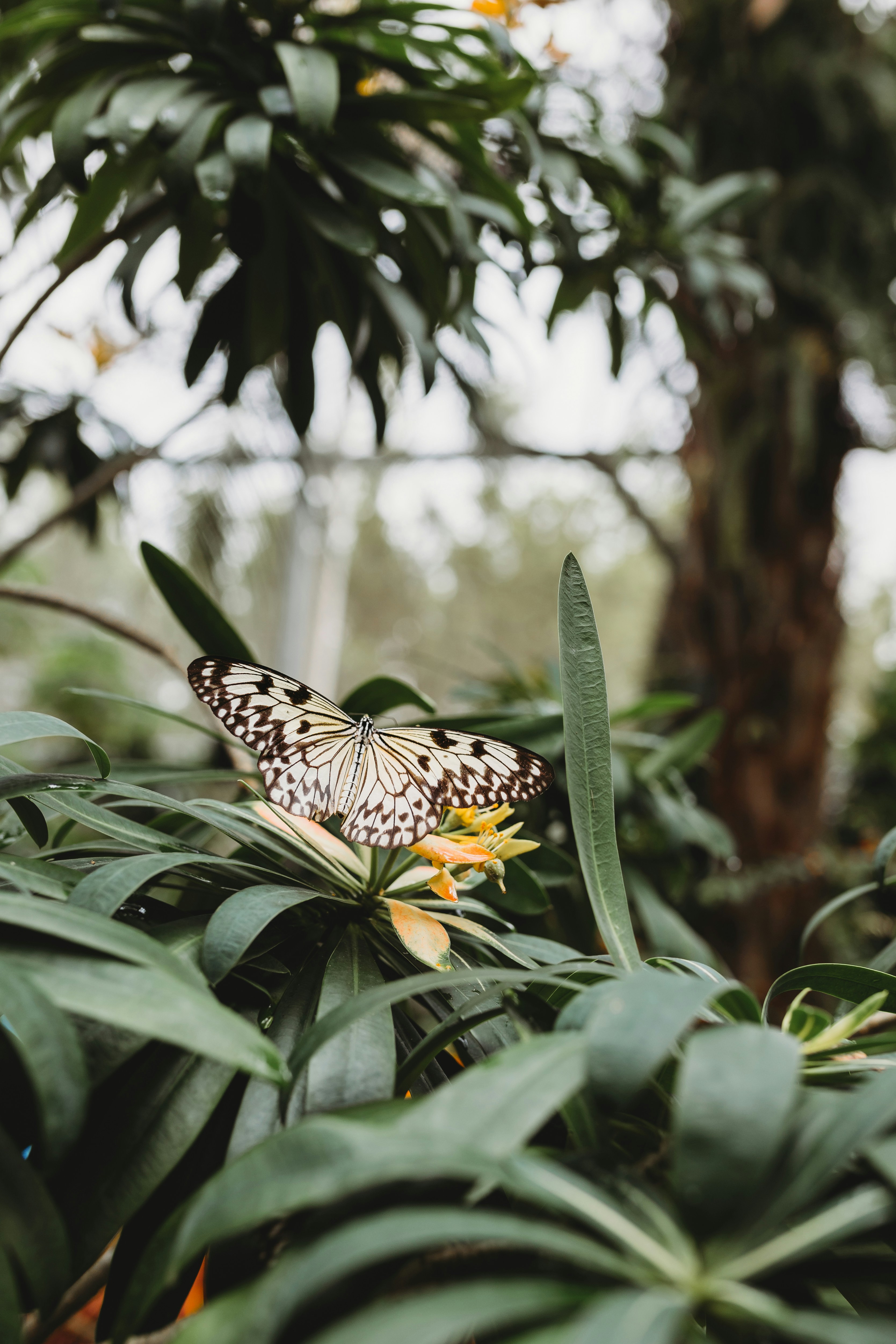 Photo by Sally Williams with Canon EOS R6