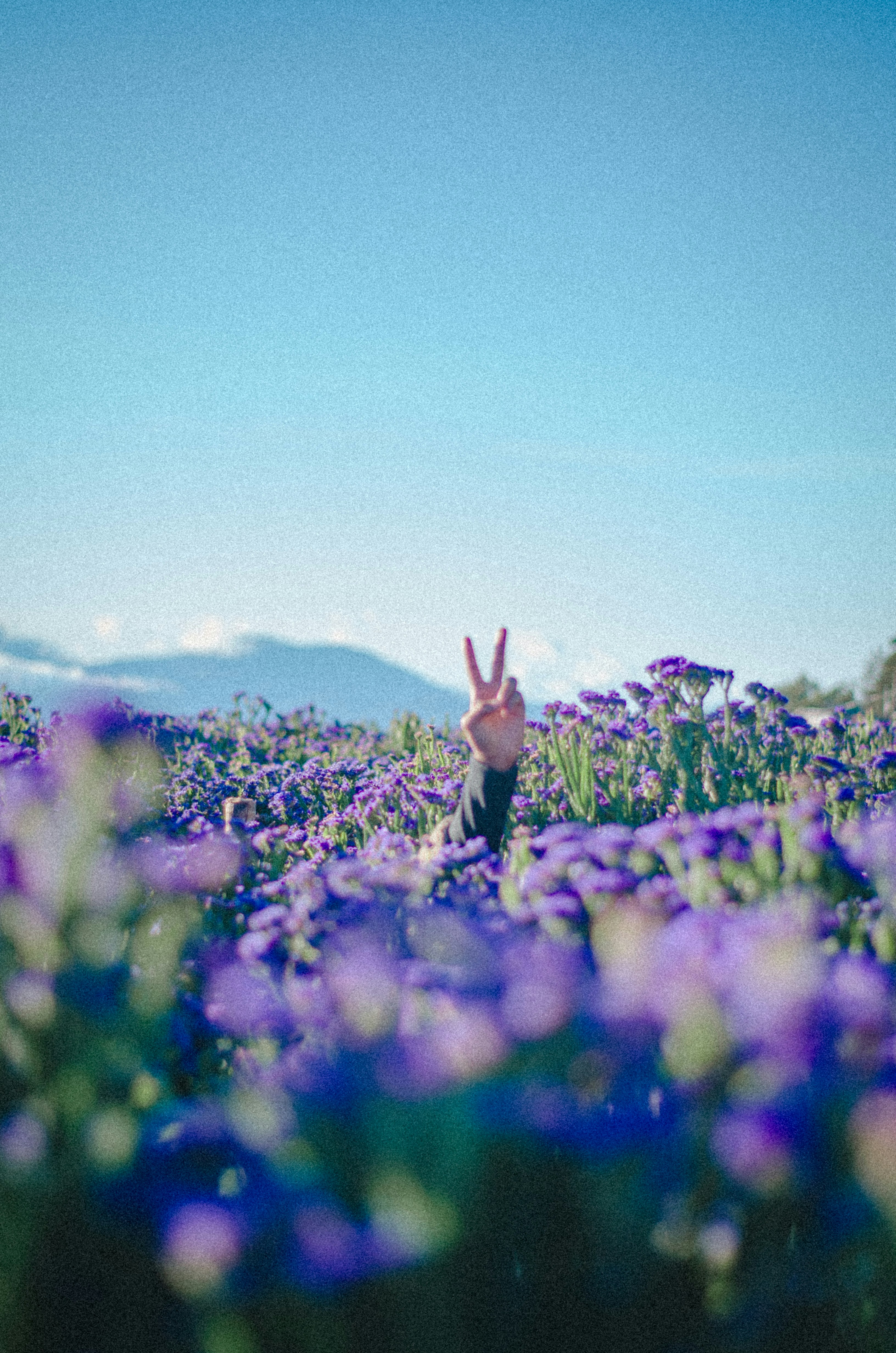 Kevin Apaan (@kevin_apaan) | Unsplash Photo Community