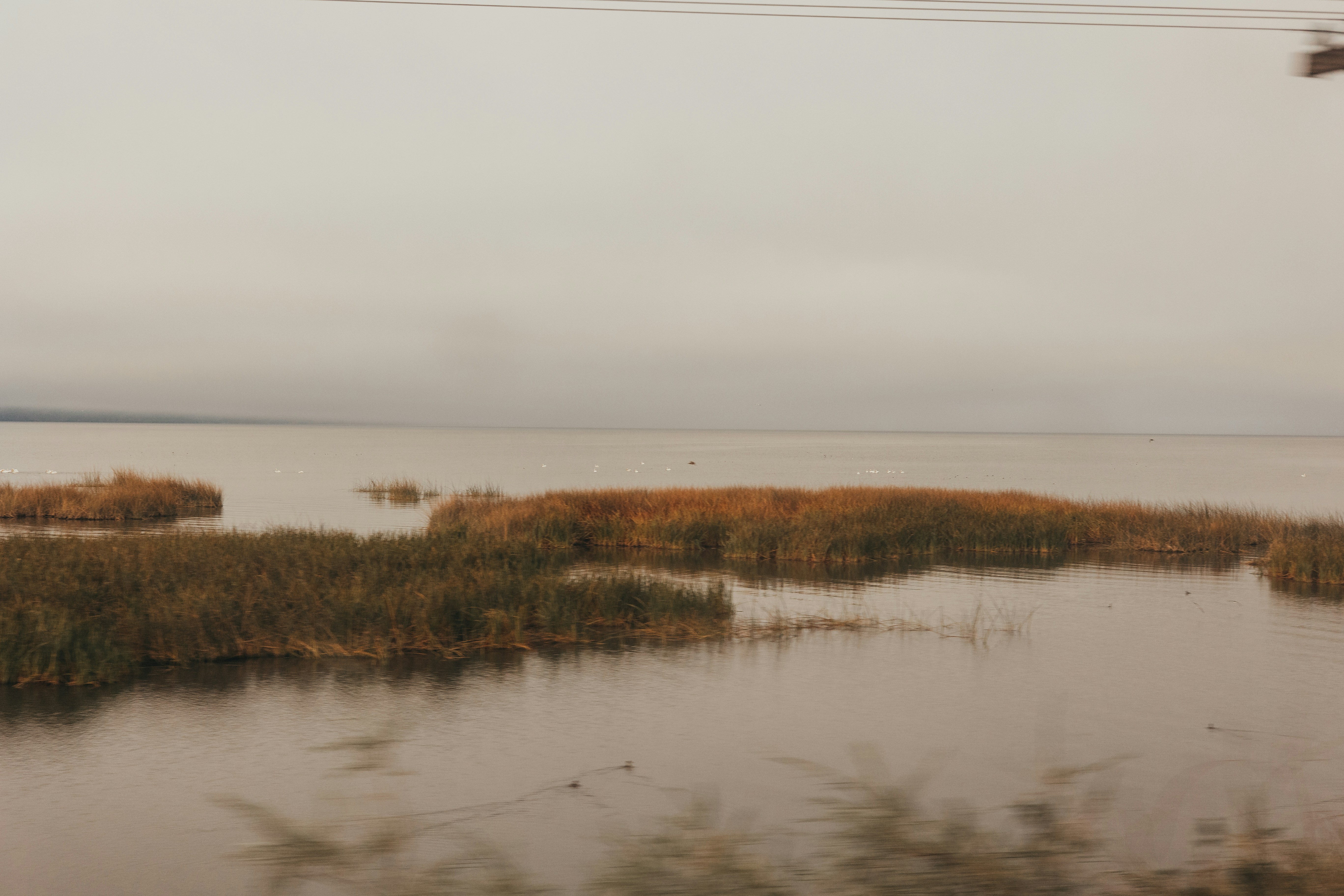 Photo by Sally Williams with Canon EOS R6