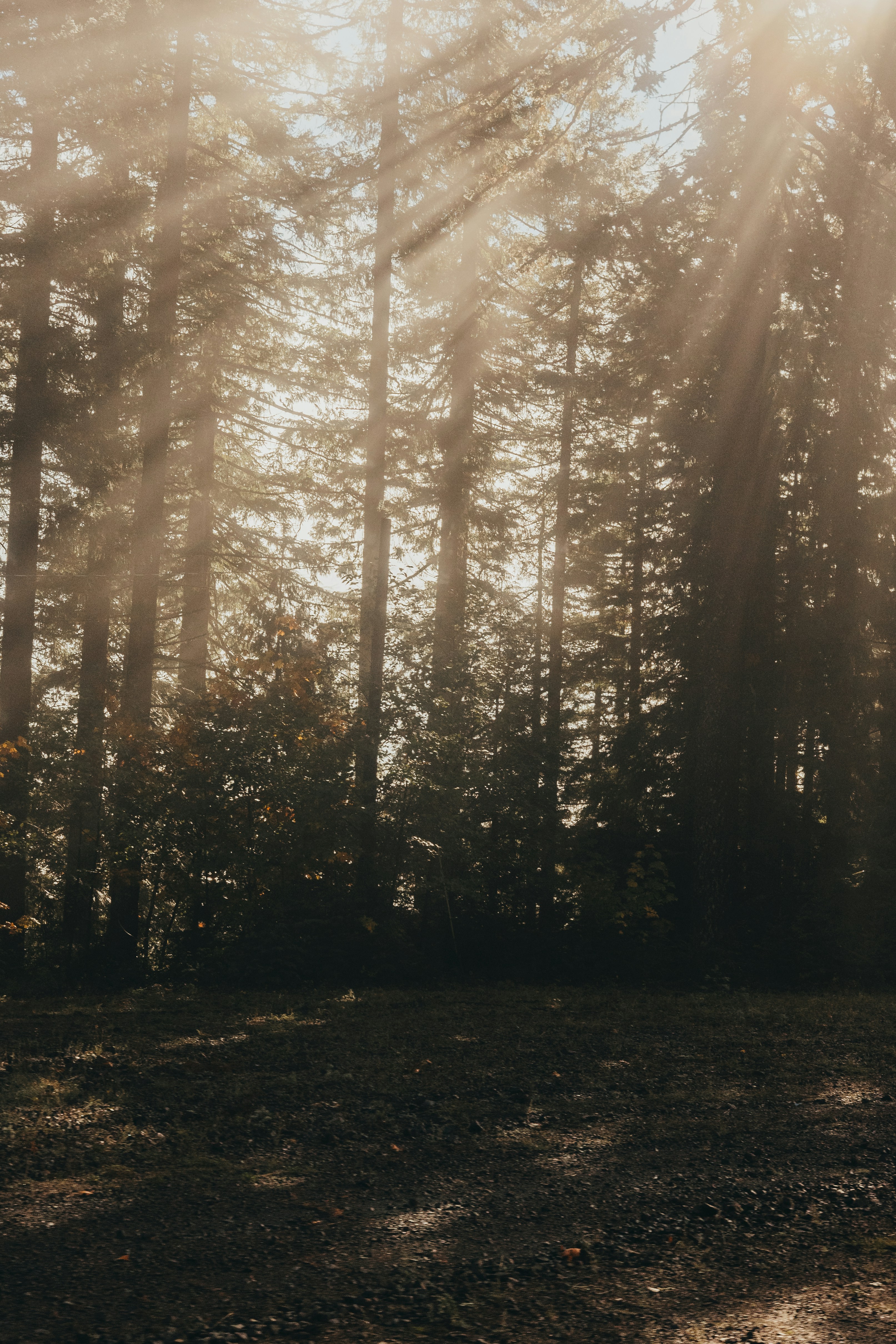 Sally Williams (@sallywilliams) | Unsplash 사진 커뮤니티