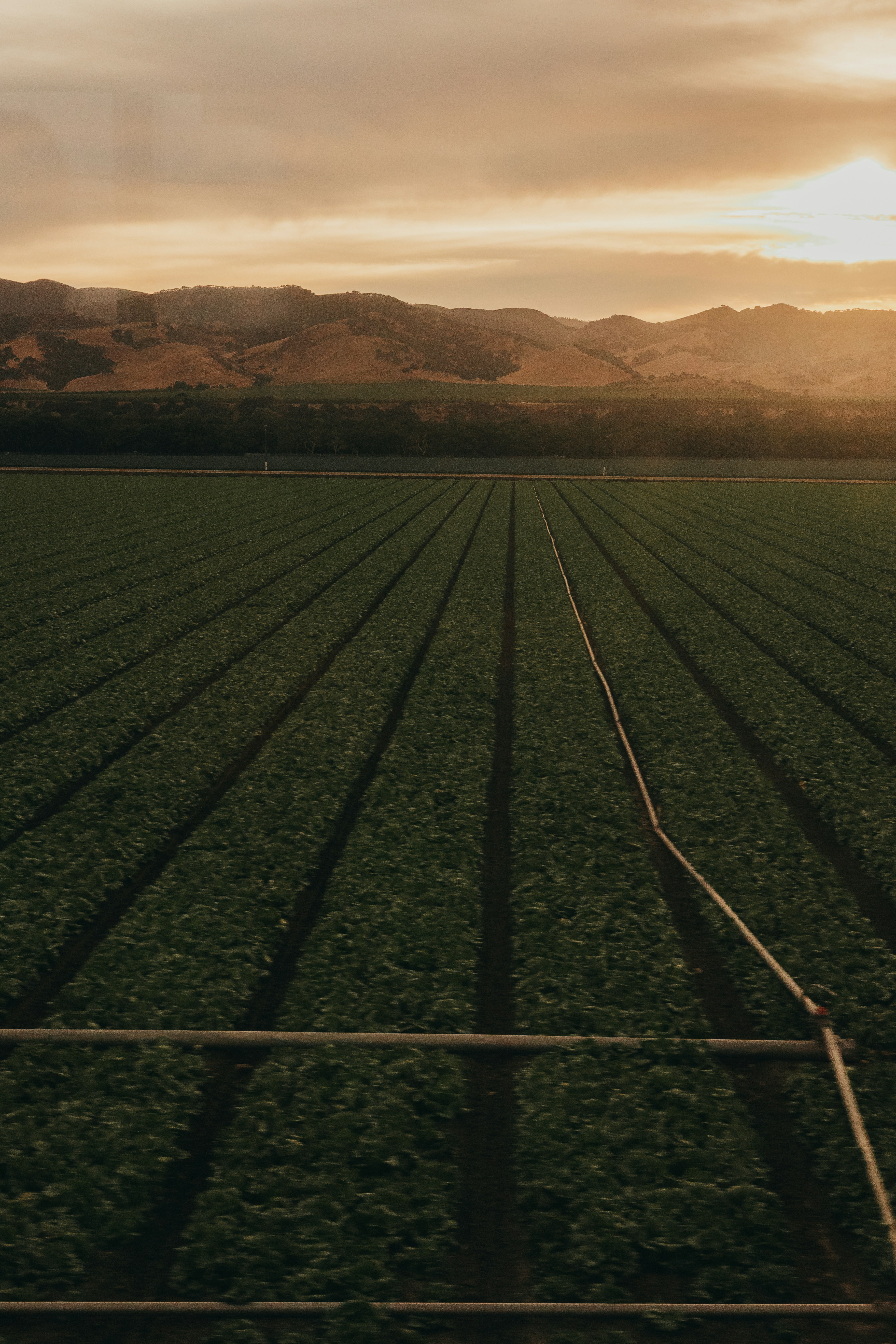 Sally Williams (@sallywilliams) | Unsplash 사진 커뮤니티