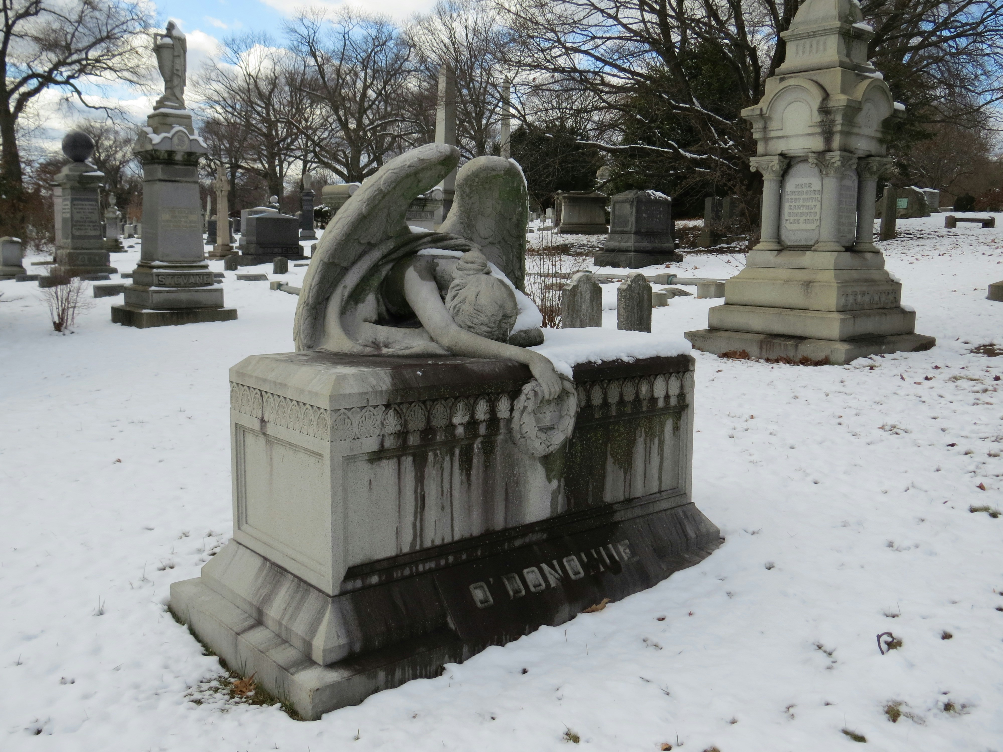 Photo by Tony Rodriguez with Canon PowerShot SX50 HS