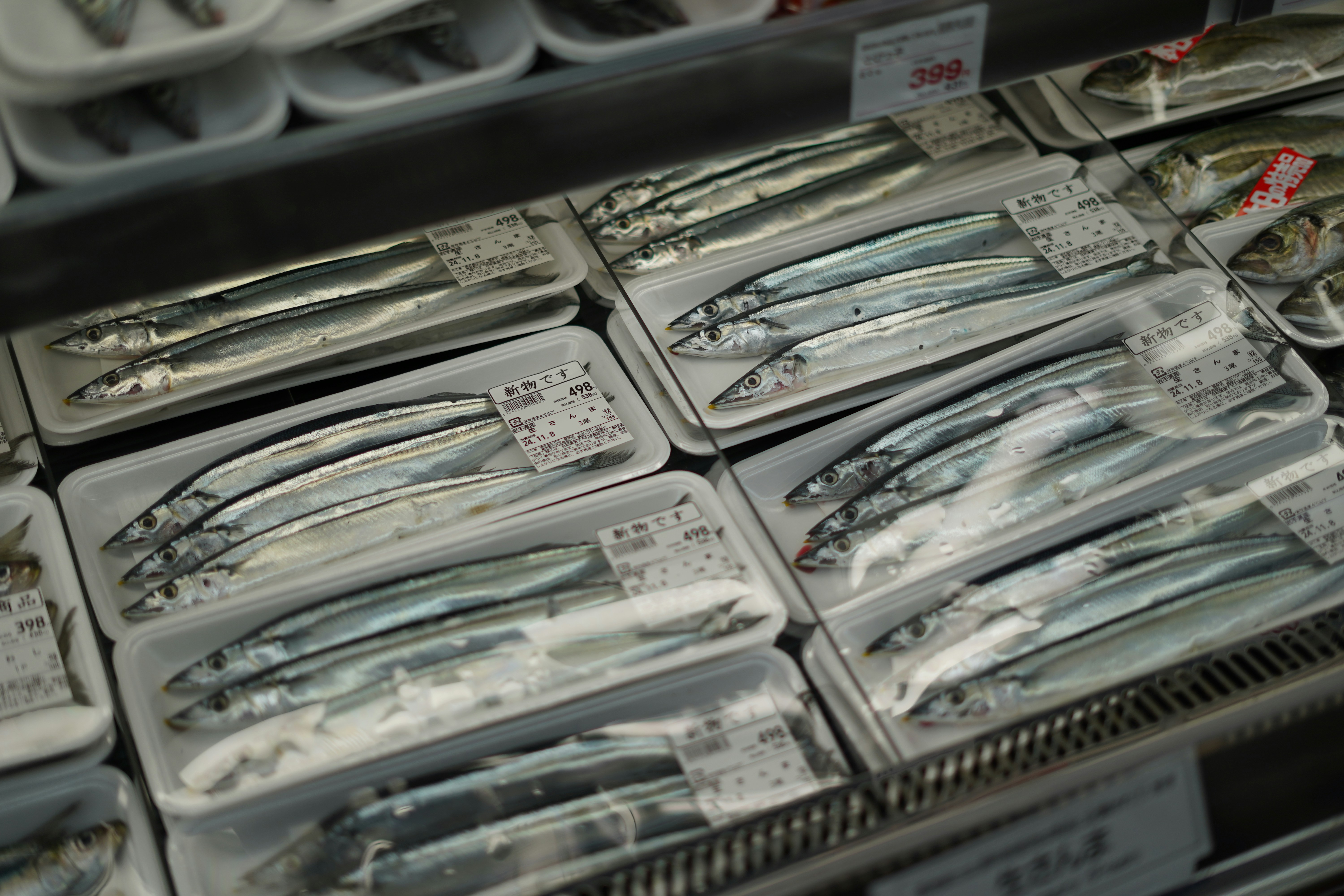 A display case filled with lots of different types of fish photo – Free ...