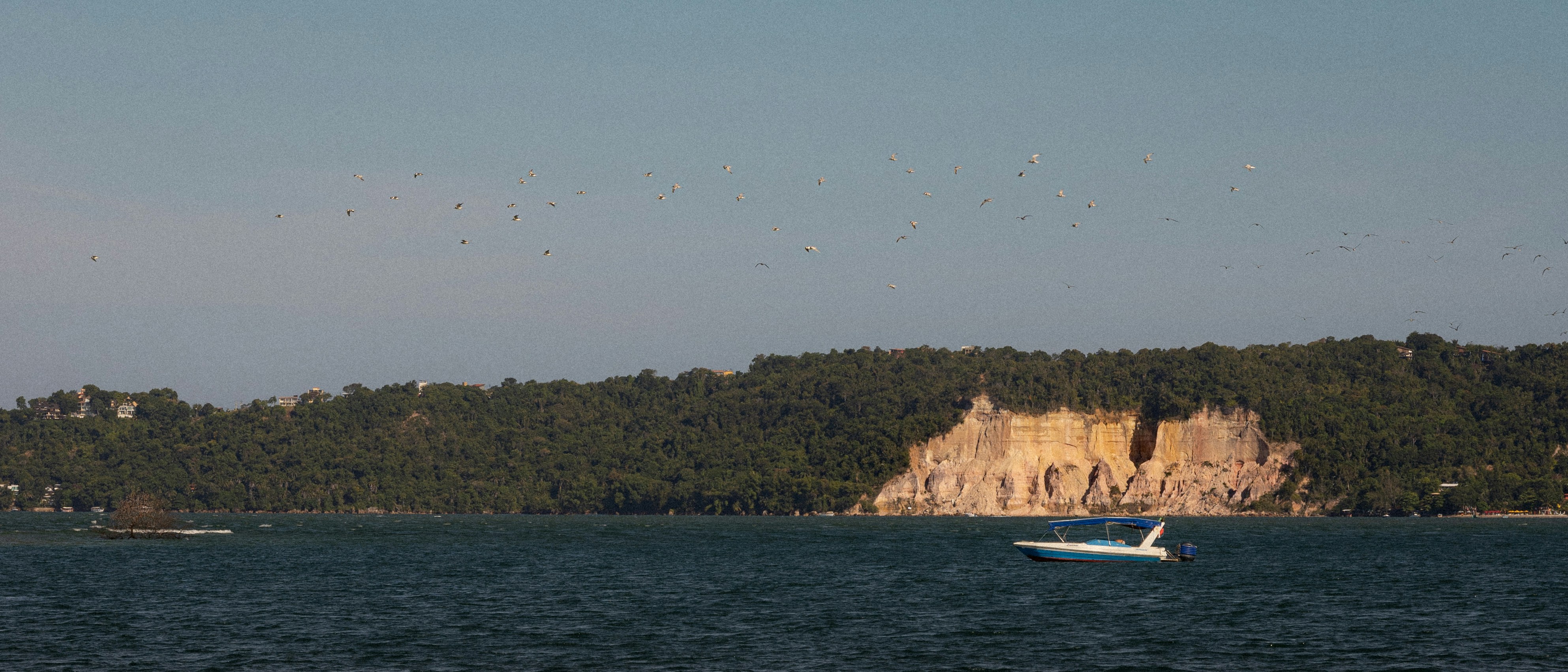 Blue Gulf Crossing: A Motorboat Gliding Past a Sunlit Cliff