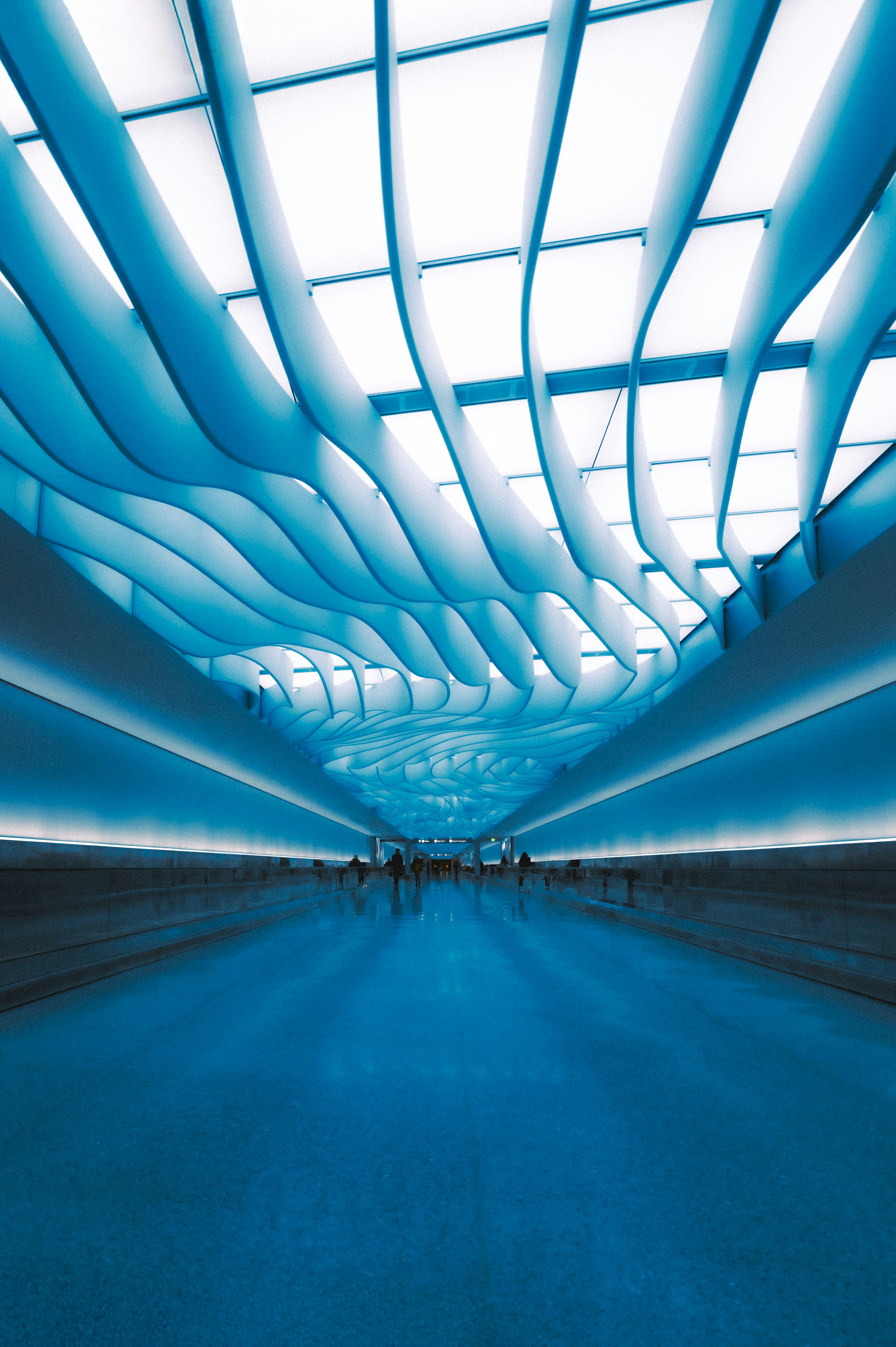 Random | 100+ best free photos on Unsplash