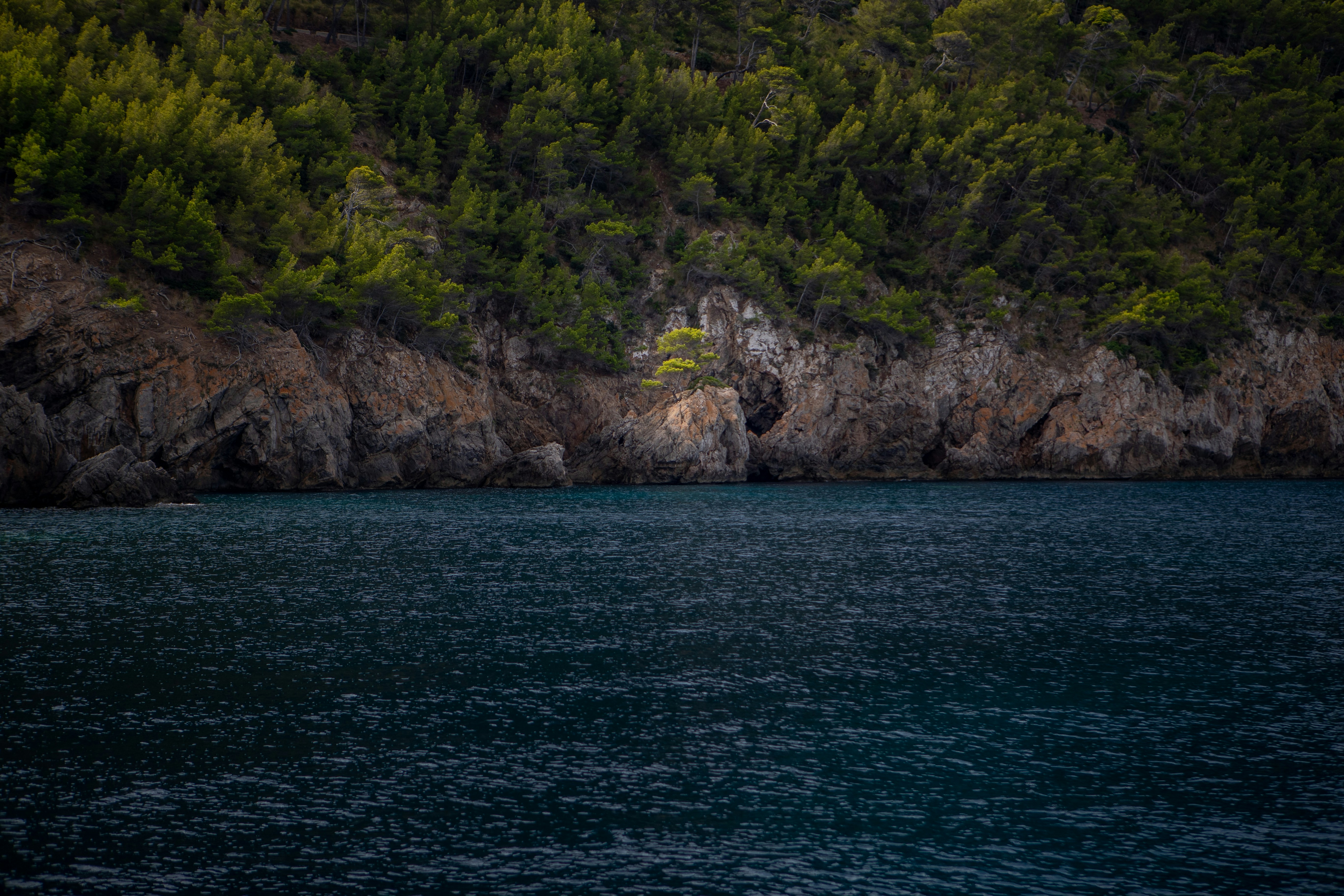 Rocky cliffs with dense pine trees overlook calm Mediterranean waters.