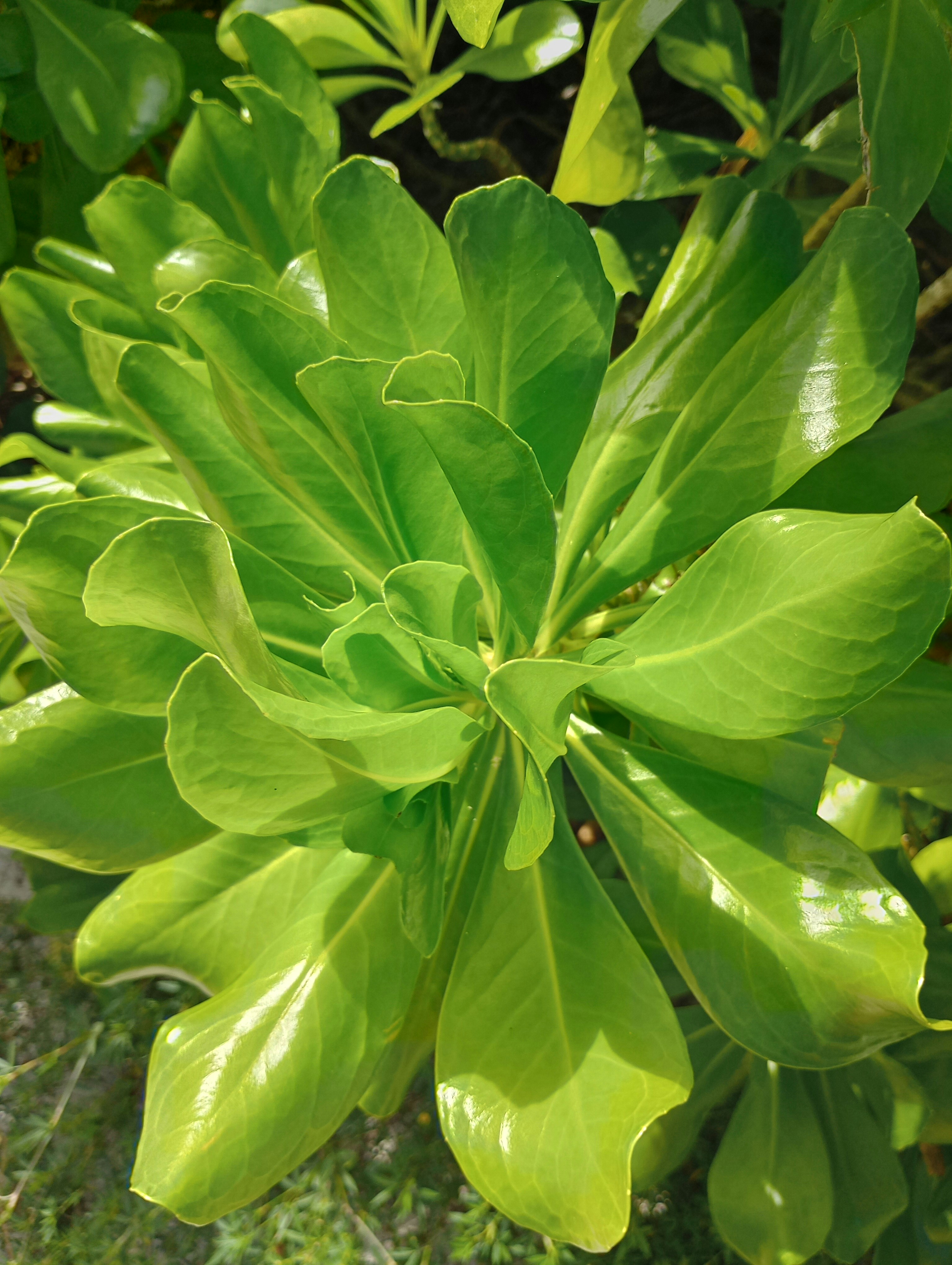 Photo by Jessica Mitchell with Motorola Moto G Stylus