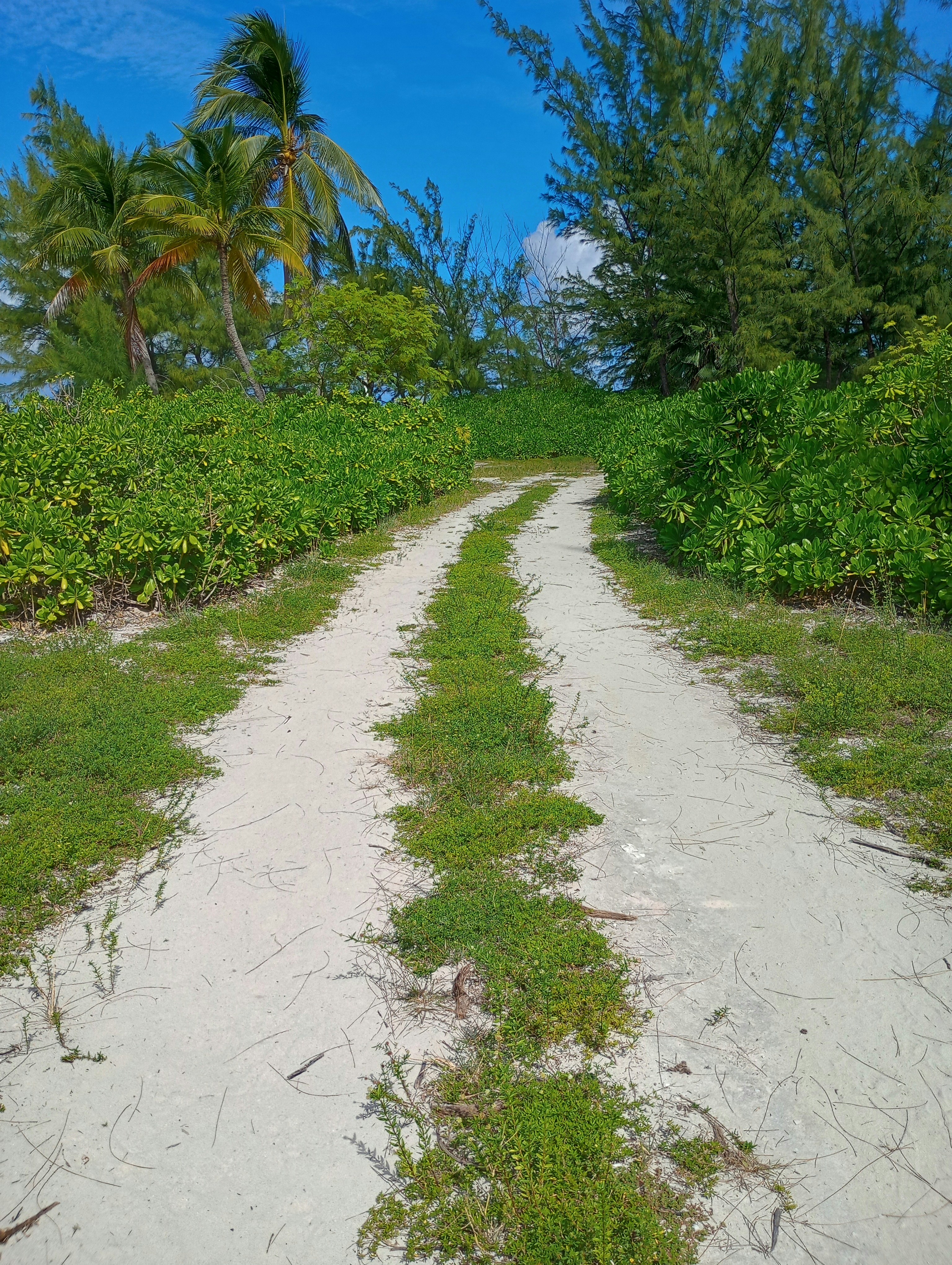 Photo by Jessica Mitchell with Motorola Moto G Stylus