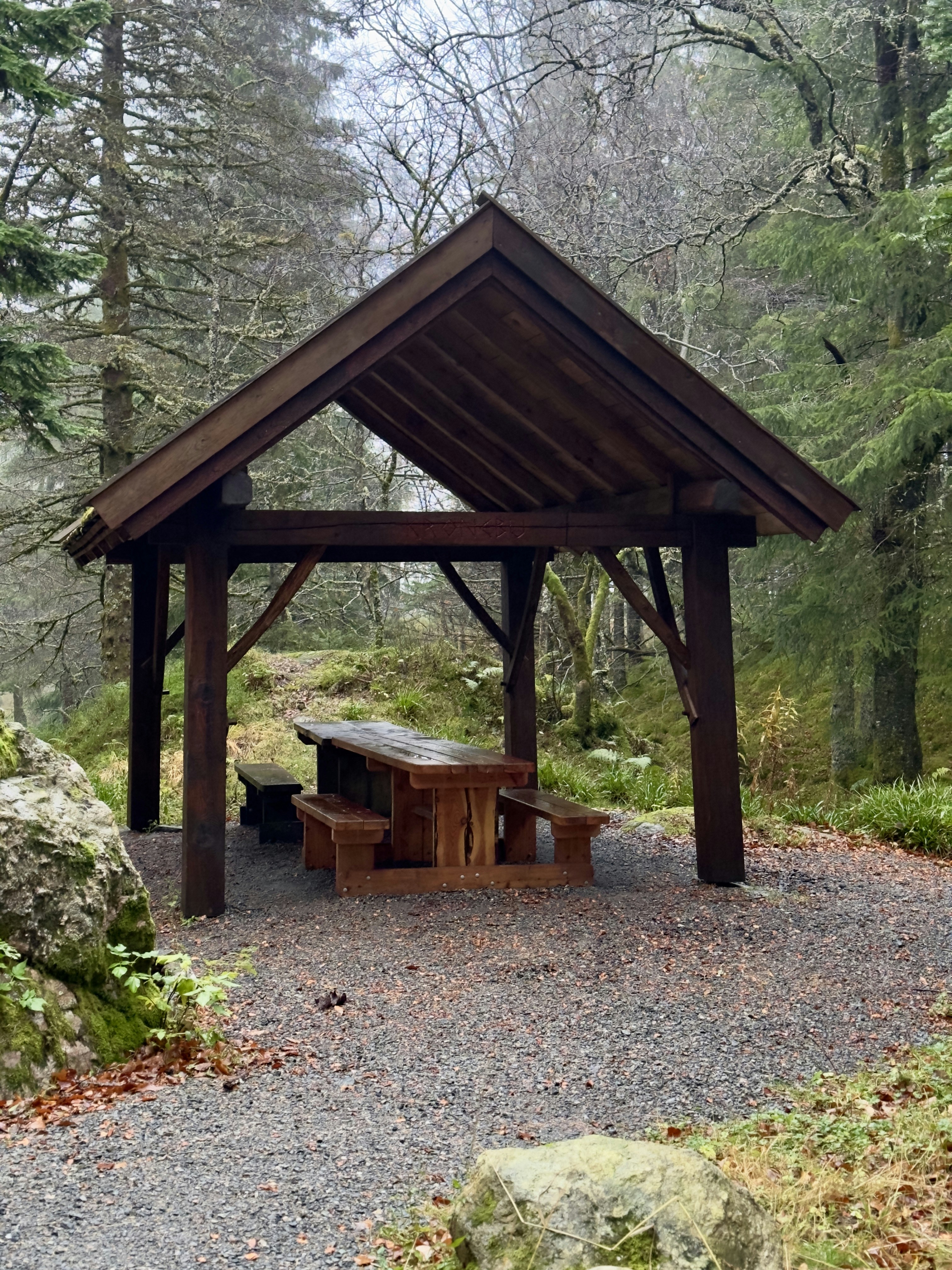 Timber Shelter in a Misty Forest Clearing