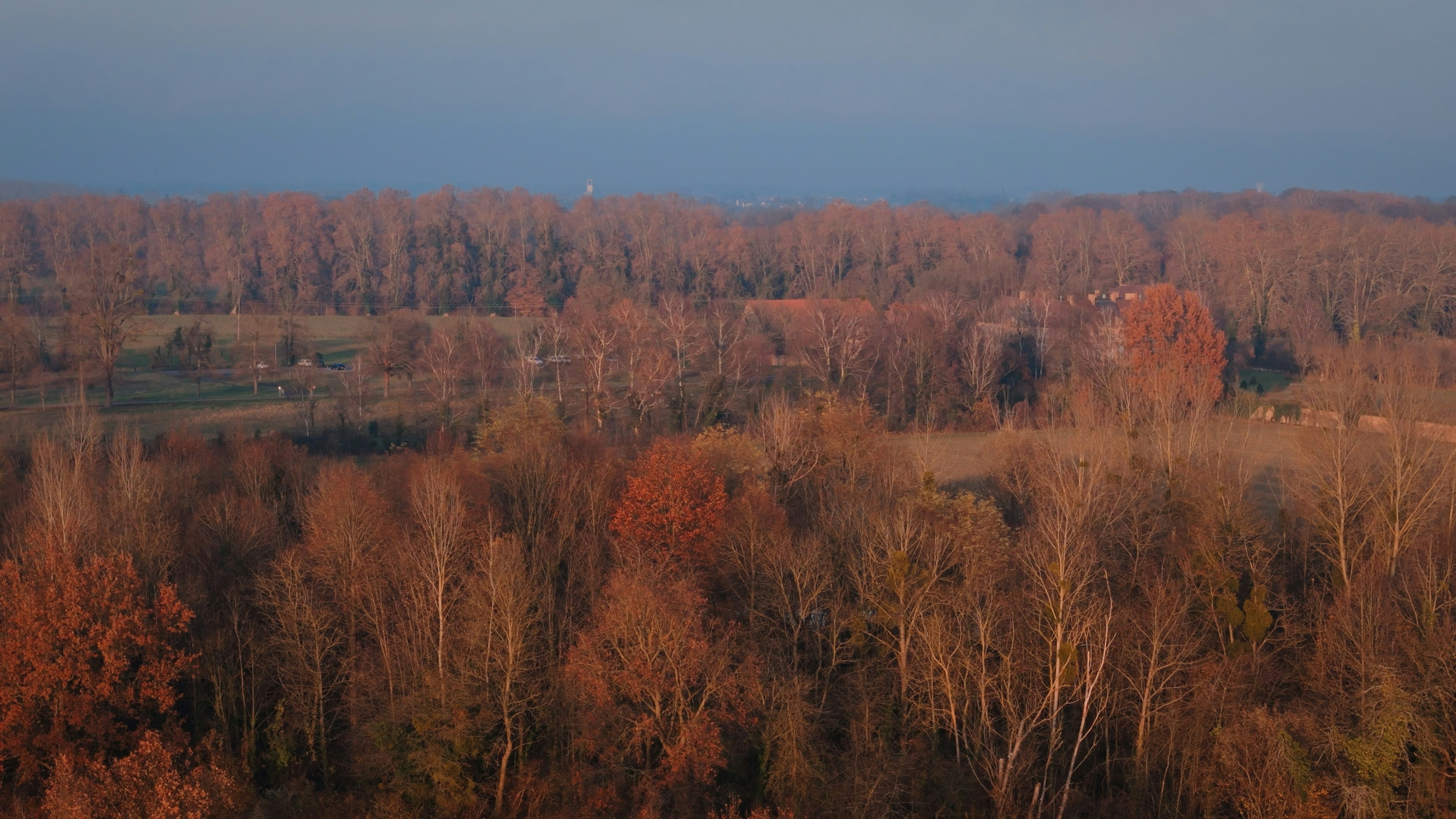 An aerial view of a wooded area with lots of trees photo – Free France ...