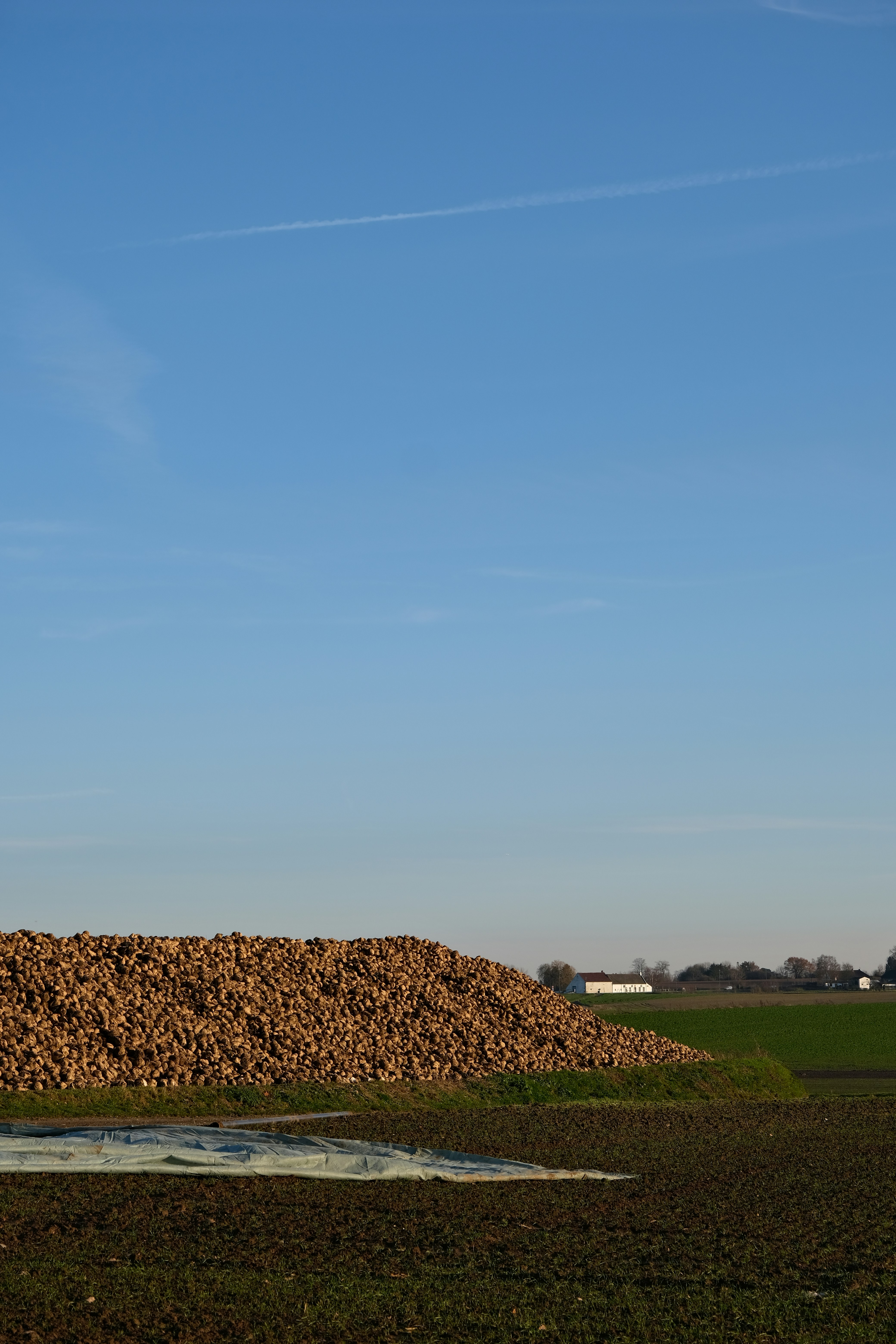 Mound of Firewood under a Vast Blue Sky