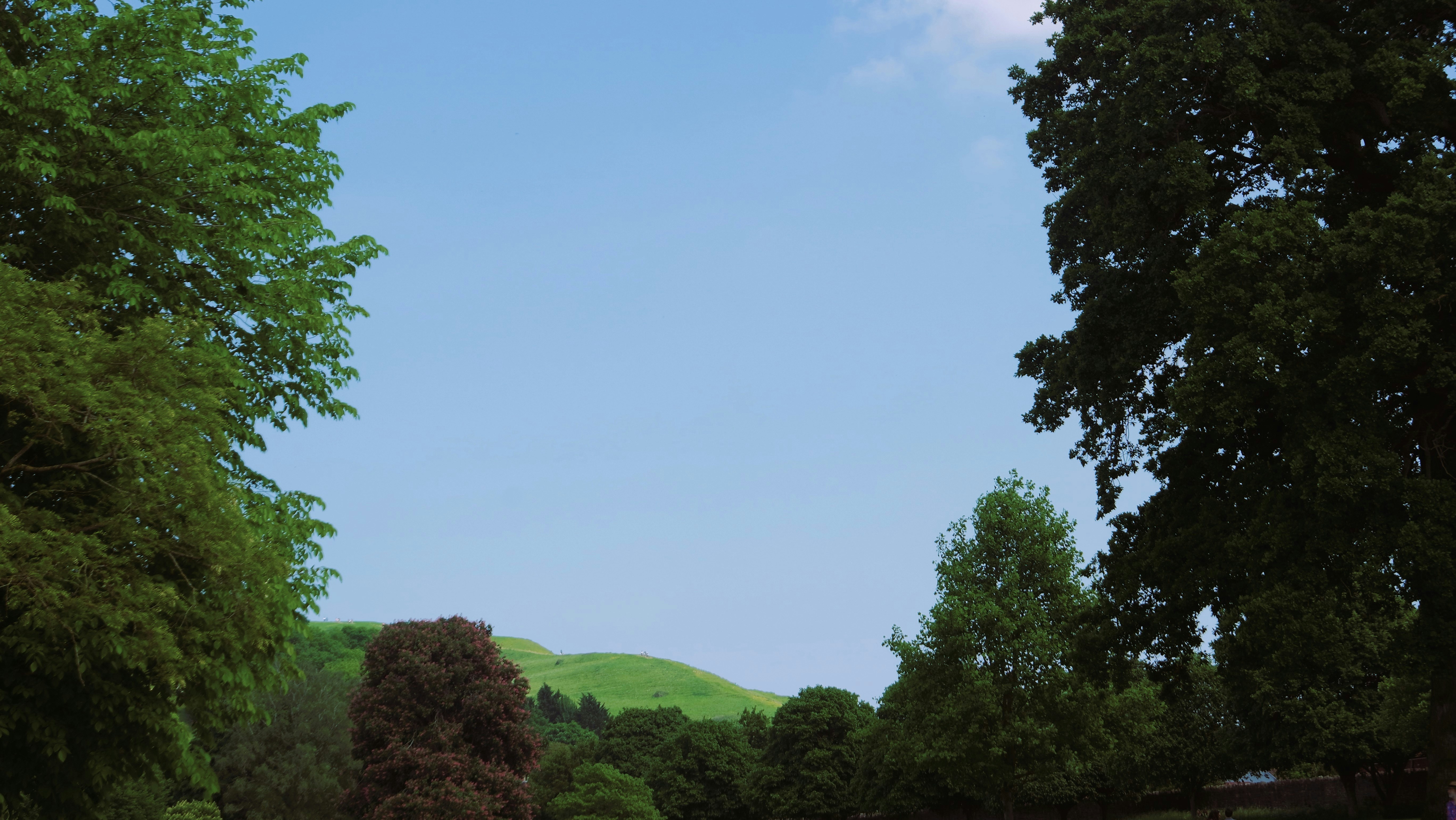Verdant Crest Under a Clear Blue Sky