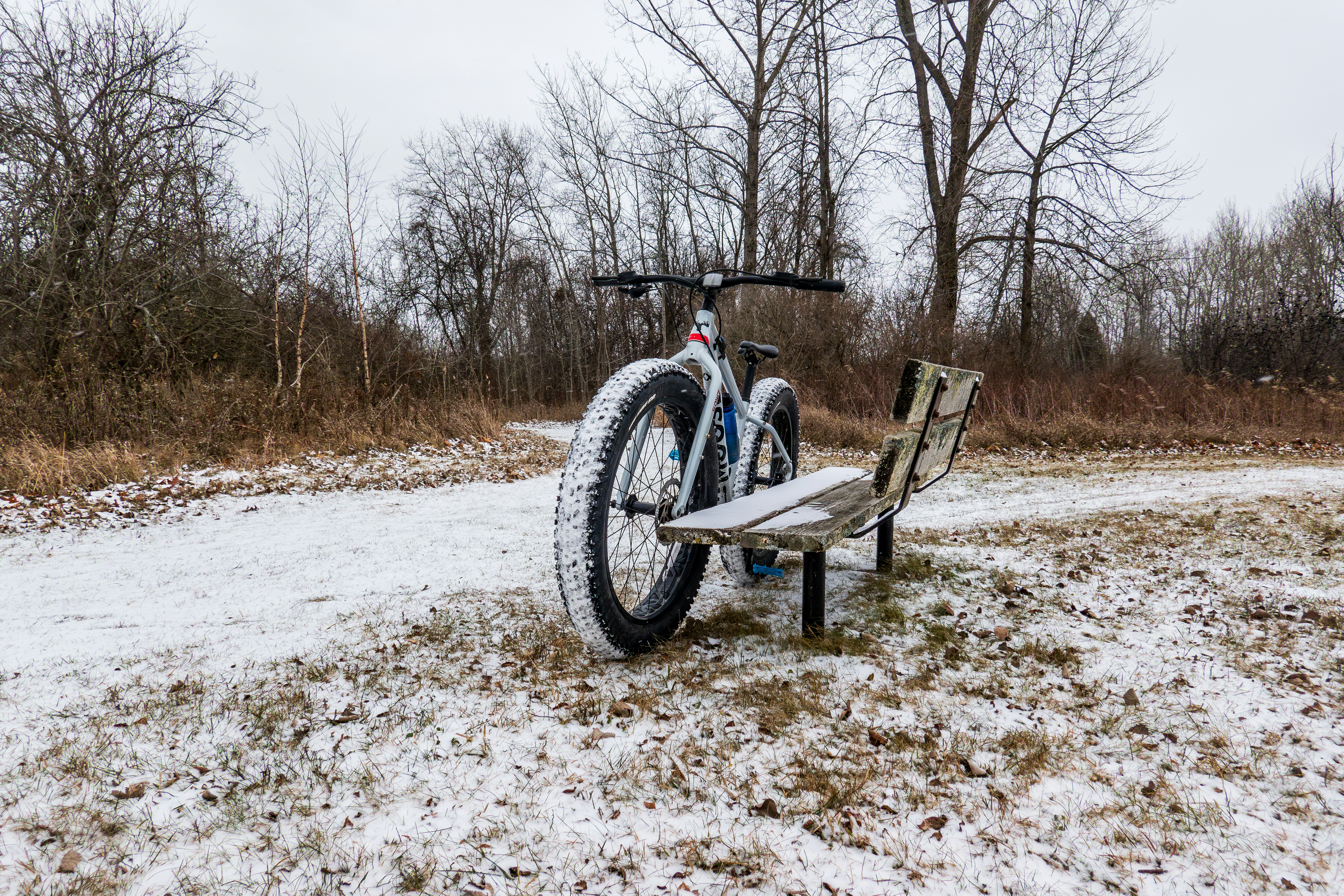 Snowy Bench Keeper: A Bike Rest on a Quiet Park Day
