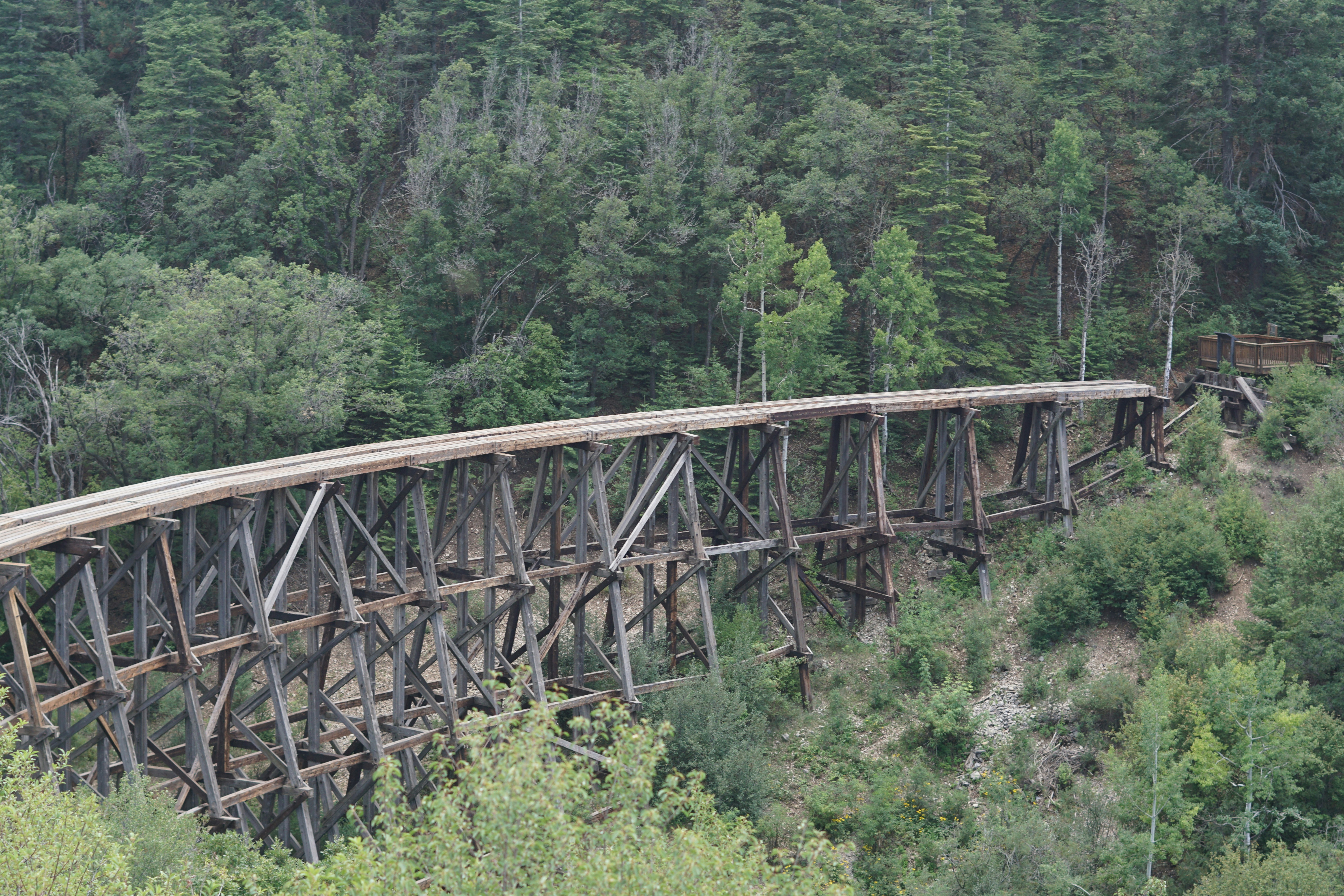 This is the Mexican Canyon Railroad Trestle located just outside of Cloudcroft, NM.