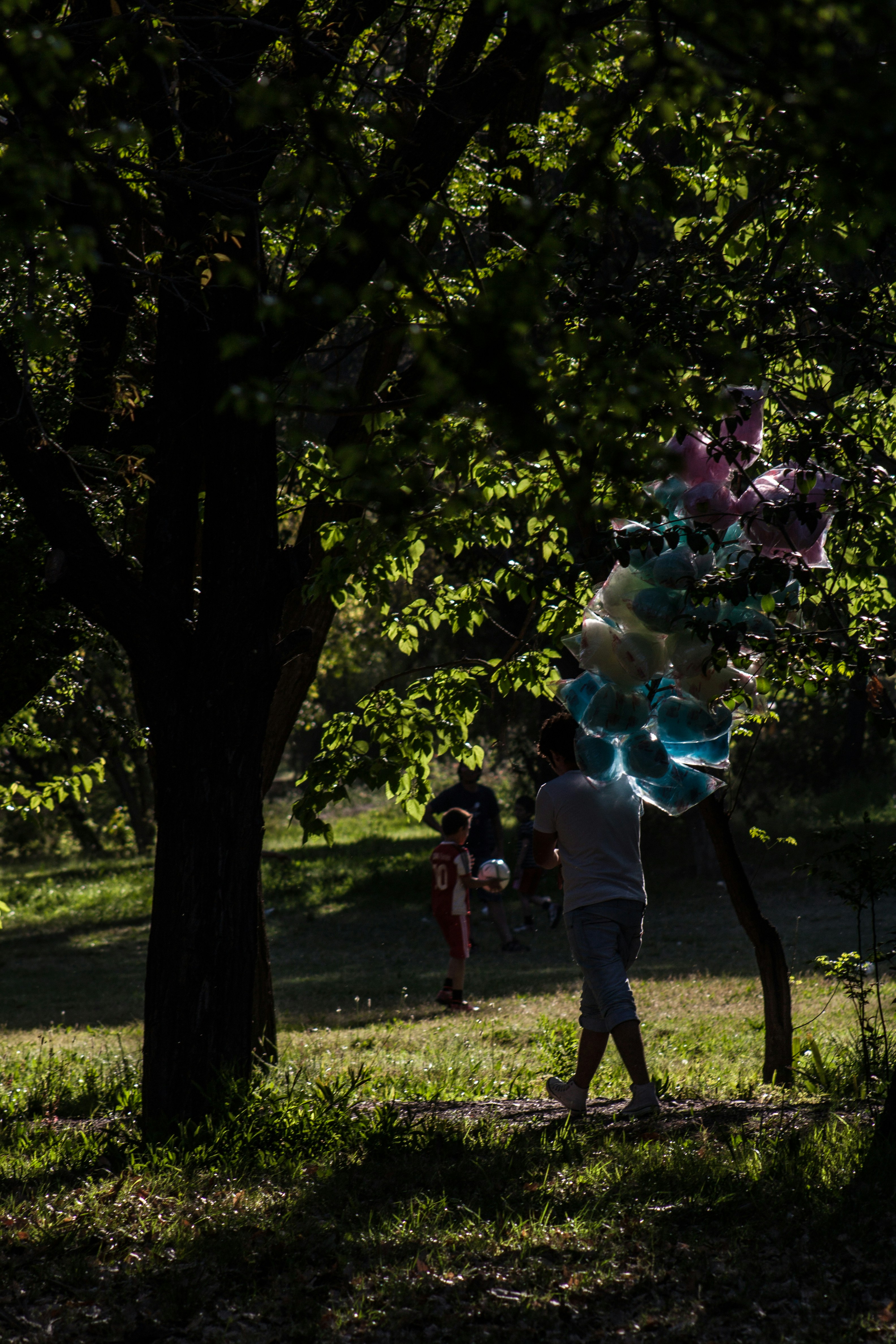 Photo by Eduardo Salvatierra with Canon EOS 500D