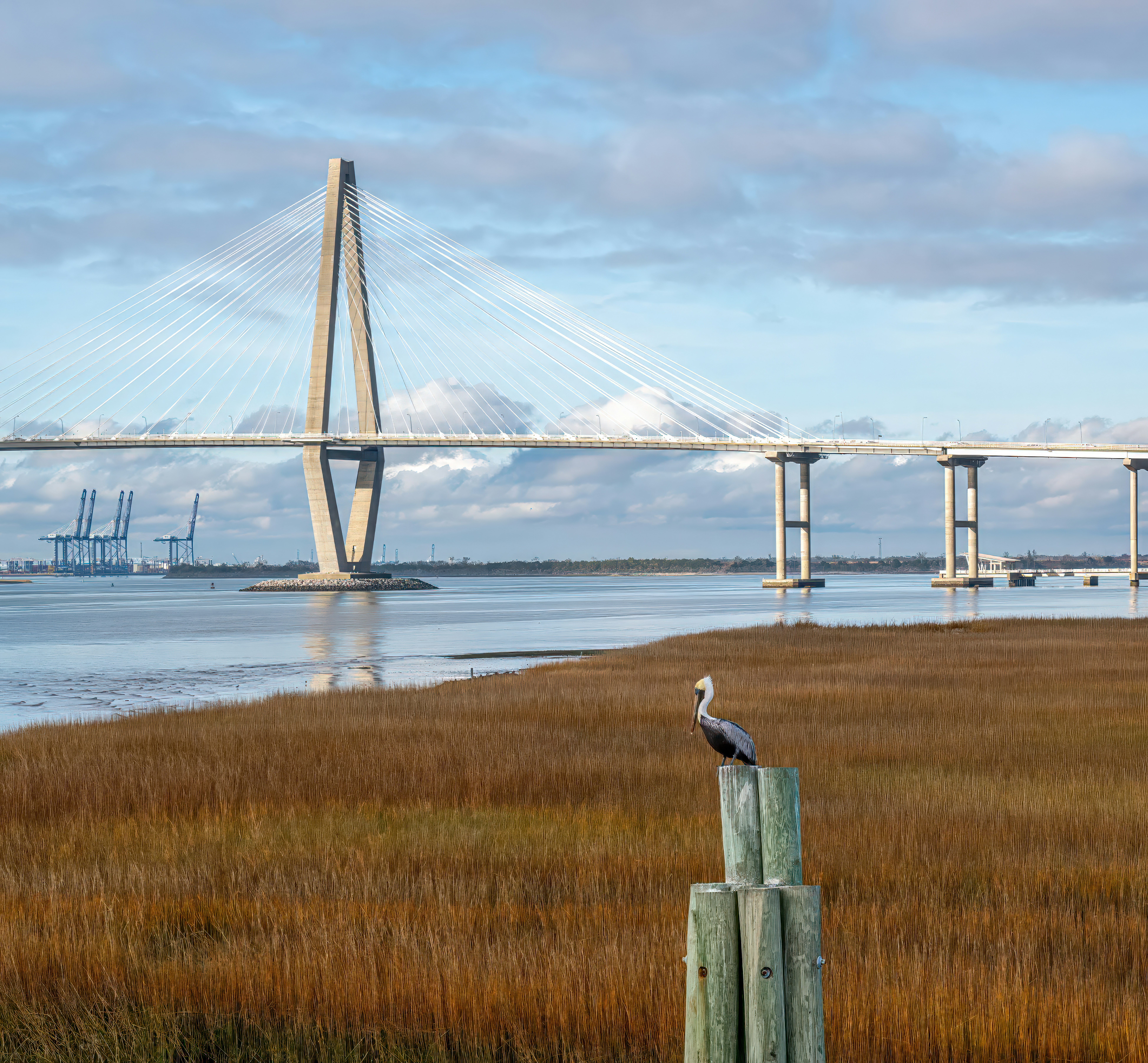Ravenel Bridge Pictures | Download Free Images on Unsplash