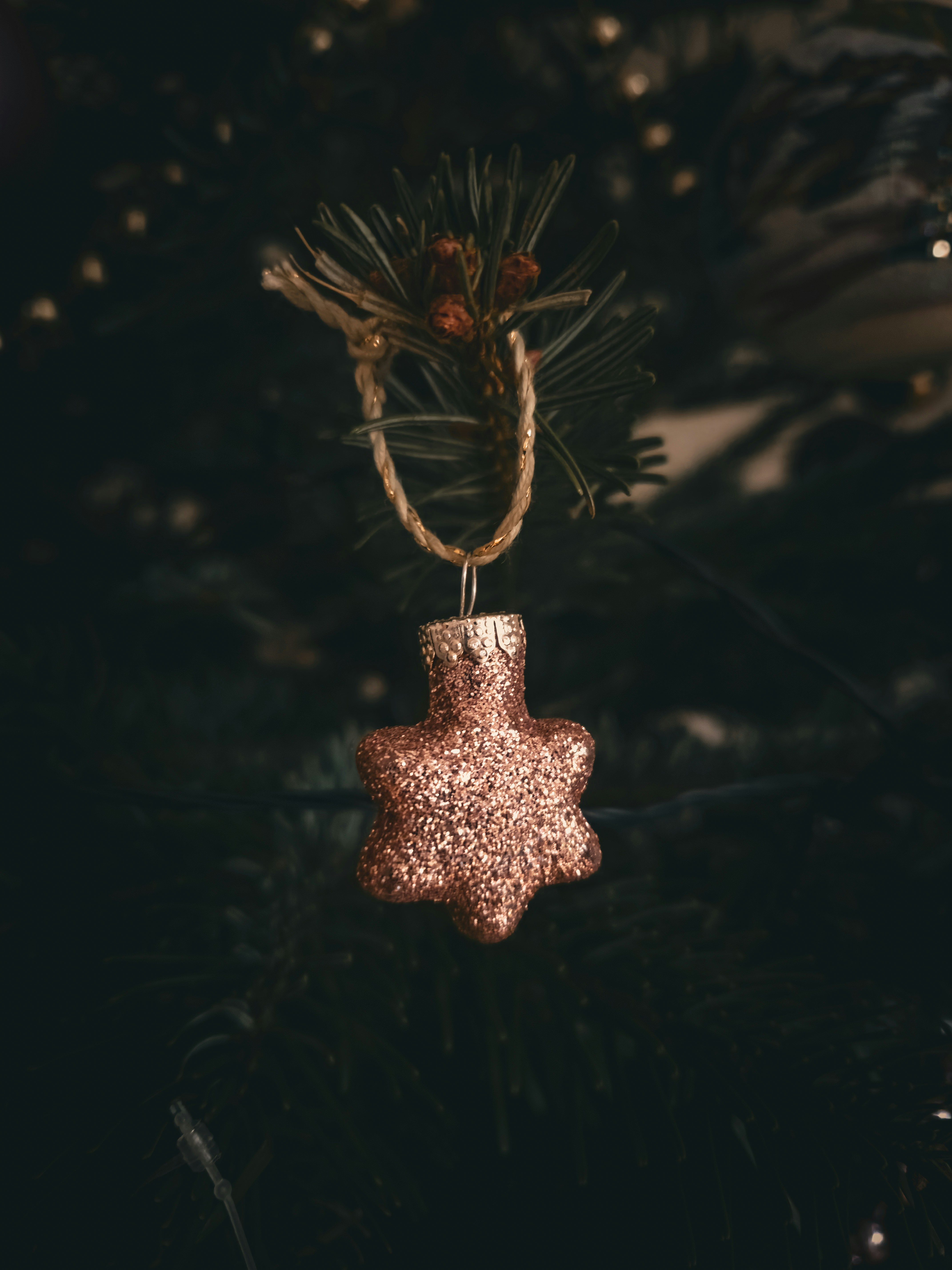 A christmas ornament hanging from a christmas tree