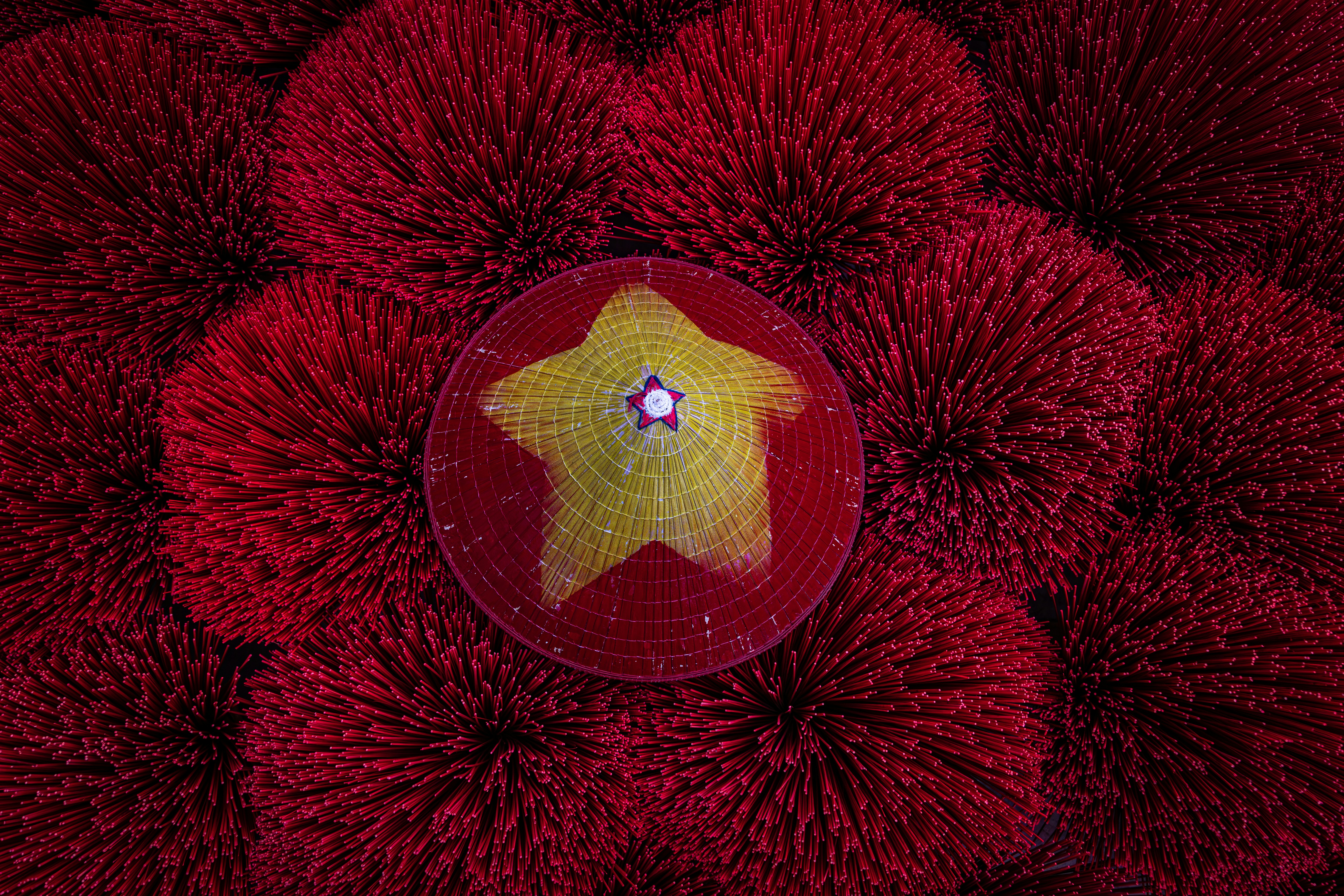 Crimson Star at the Center: A Macro Portrait of a Circular Emblem