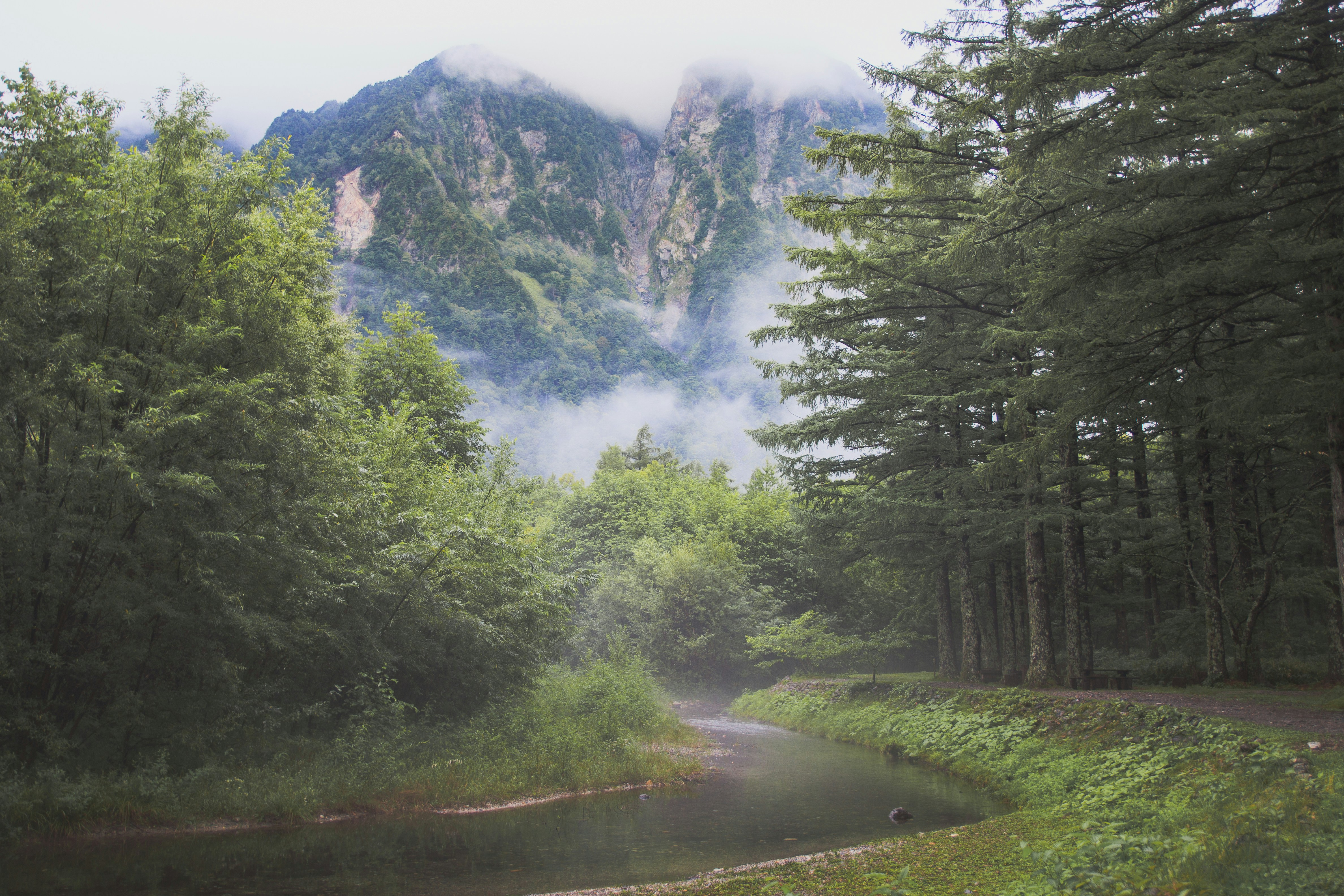 Tranquil river winding through lush green forest with misty mountain backdrop.