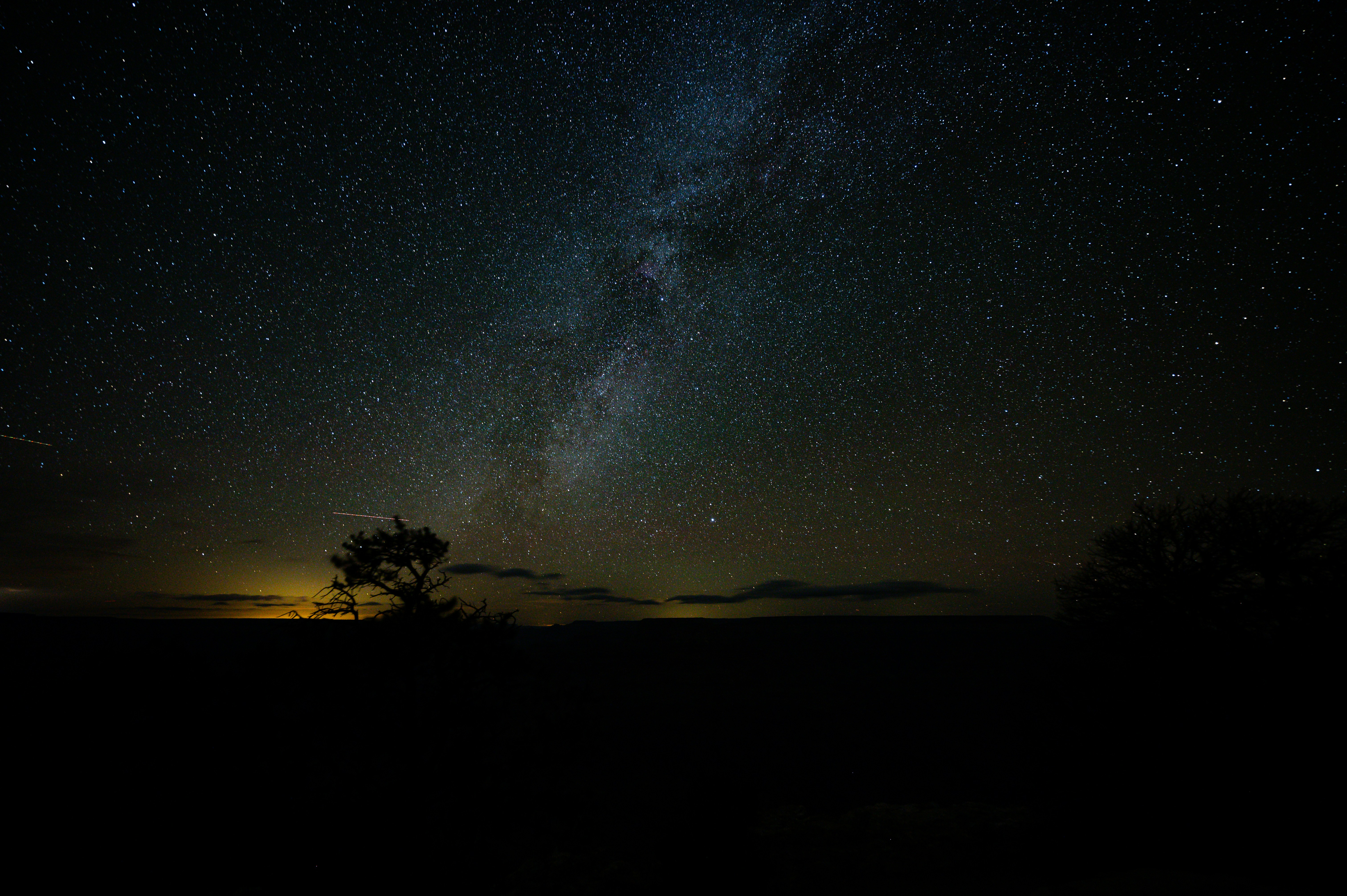 Milky Way arcs across a star-filled night sky above silhouetted trees, with faint city lights glowing on the horizon.