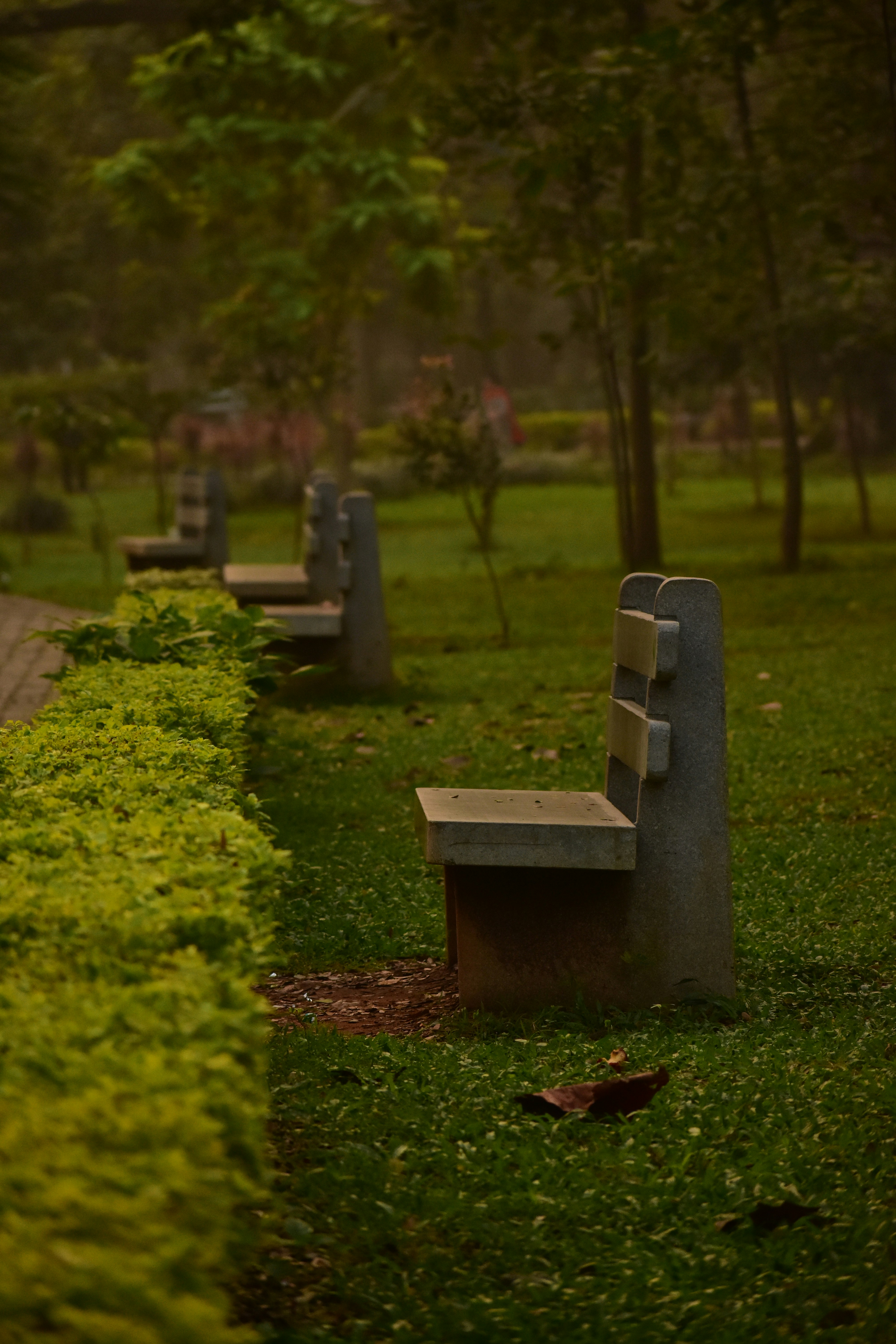 Stone bench | A row of benches sitting on top of a lush green park