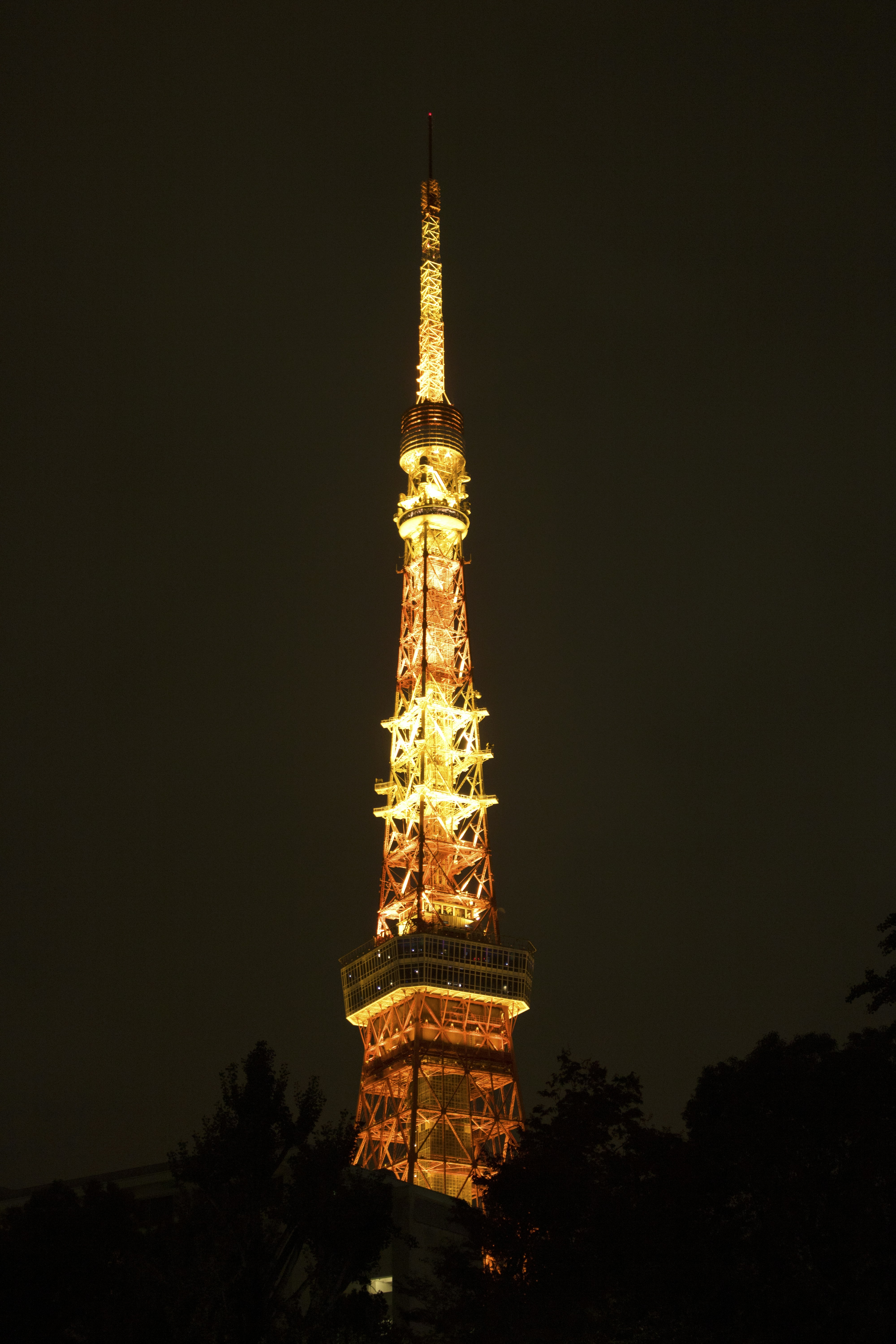 Photo by Yuta Koike with Canon EOS 8000D