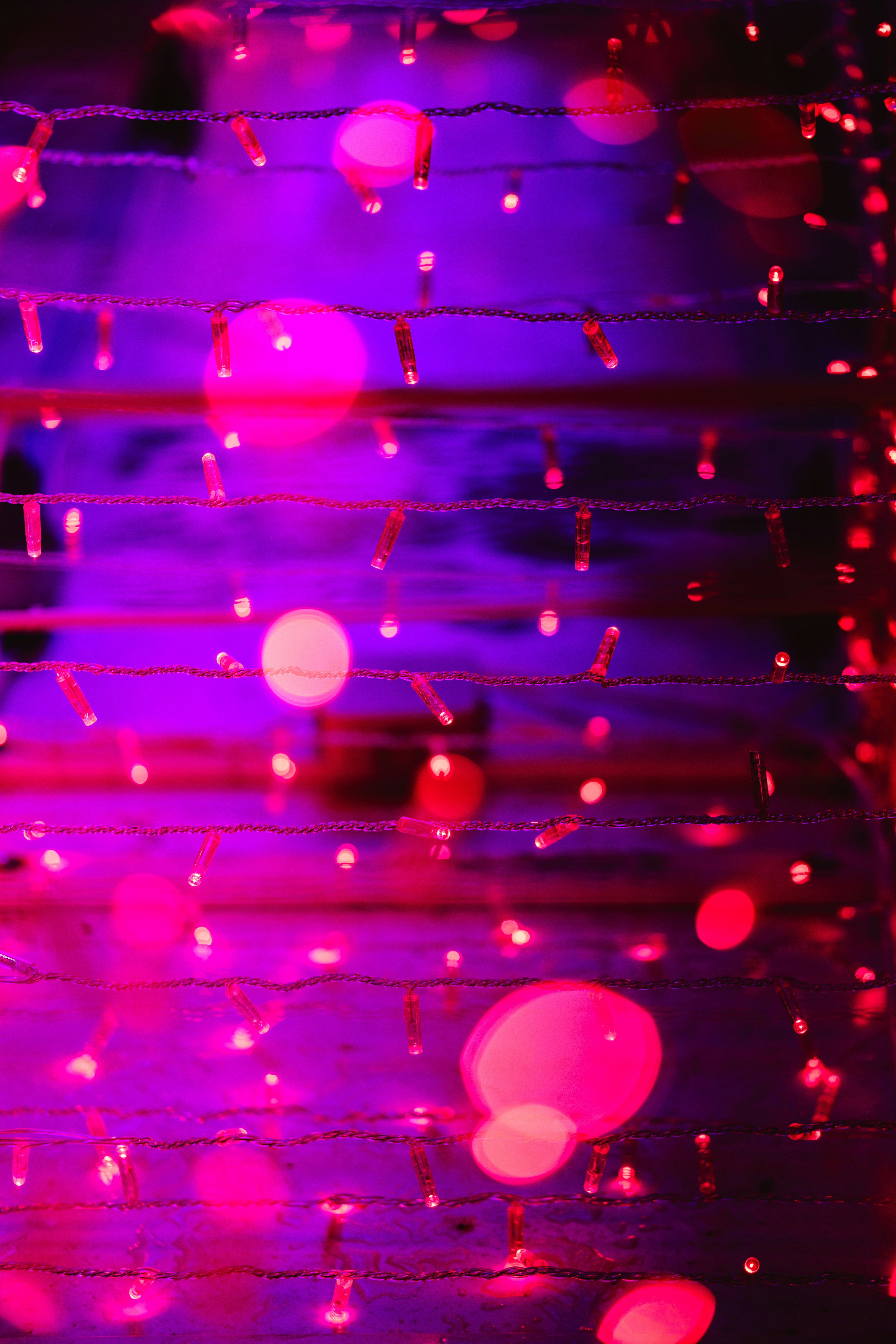 A close up of a purple and red light photo – Free Lighting Image on ...