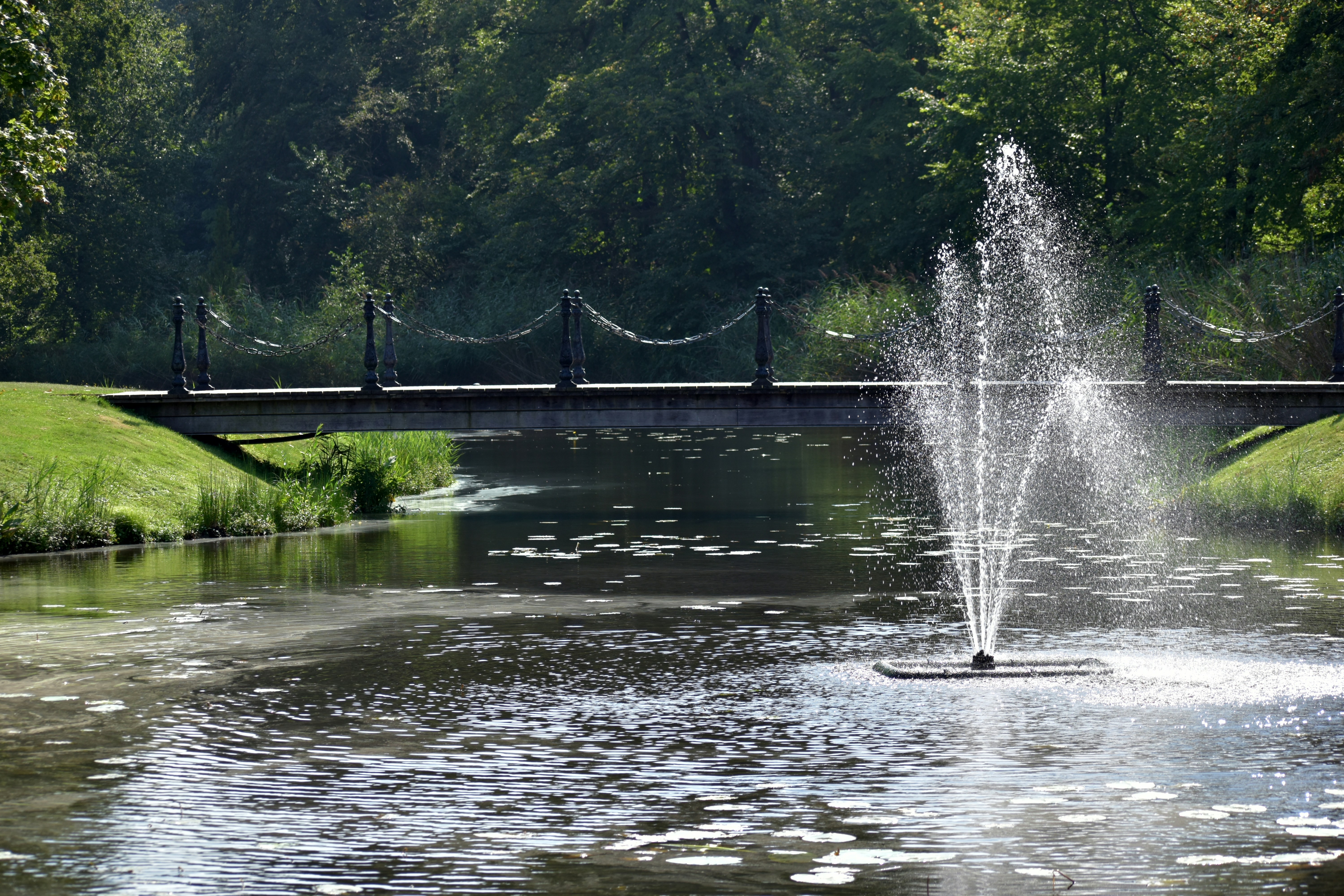 A tranquil scene featuring a fountain spraying water into a calm pond, framed by lush greenery and a charming bridge in the background.