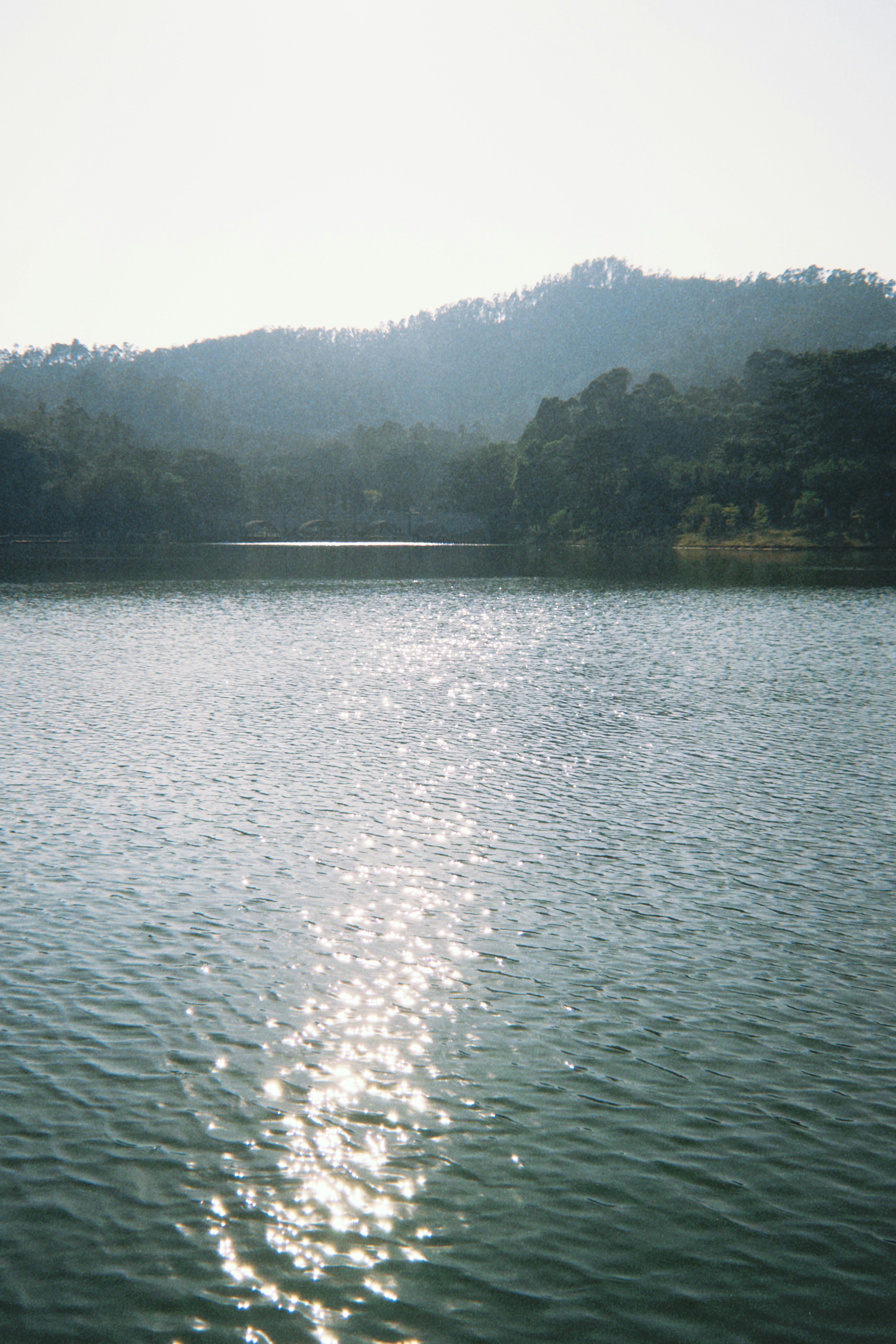 Photo by Yeh Xintong with Apple iPhone 15 Pro