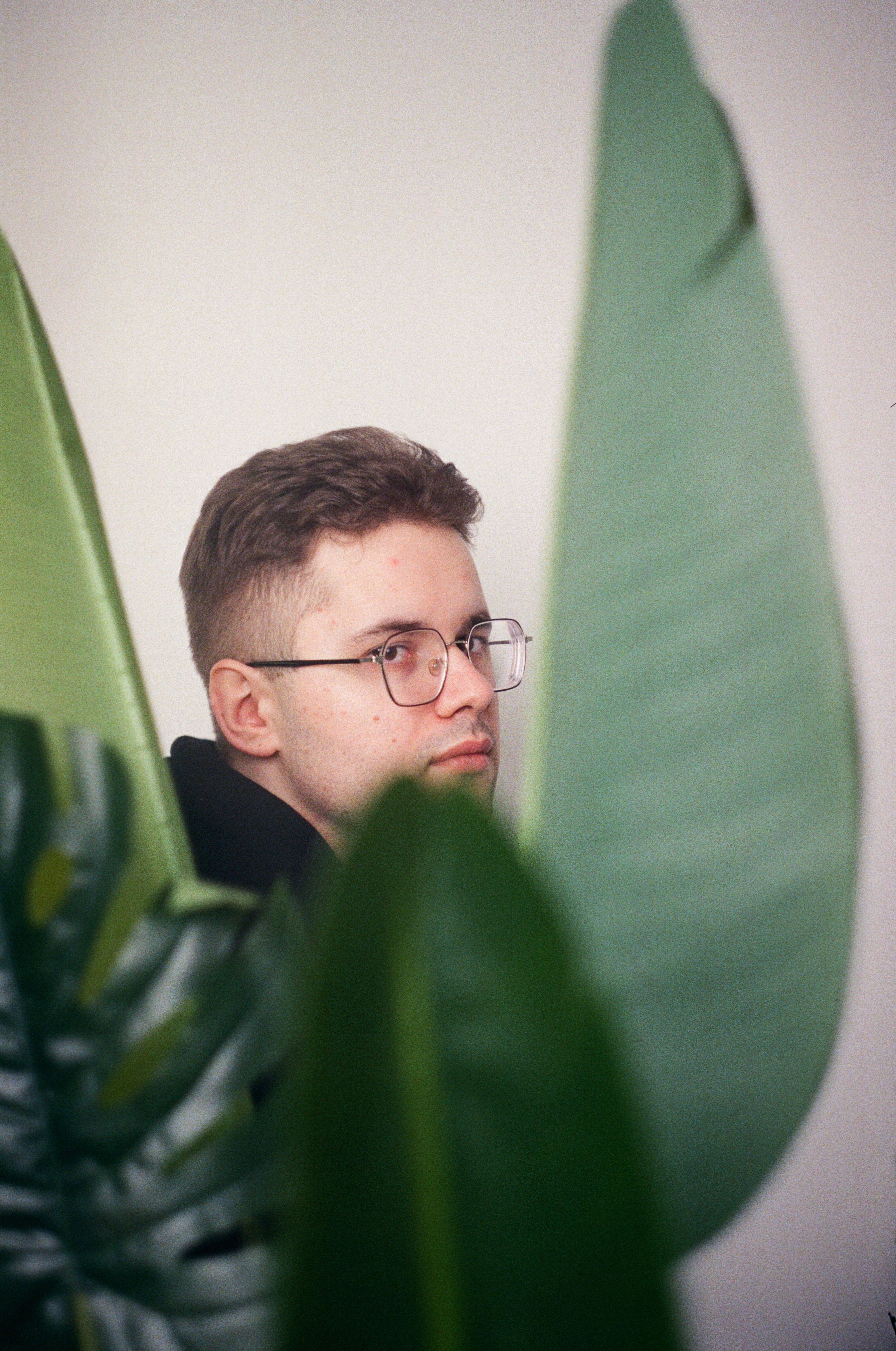 Photograph of a man with glasses peering through large indoor leaves. The scene emphasizes a contemplative portrait framed by foliage.