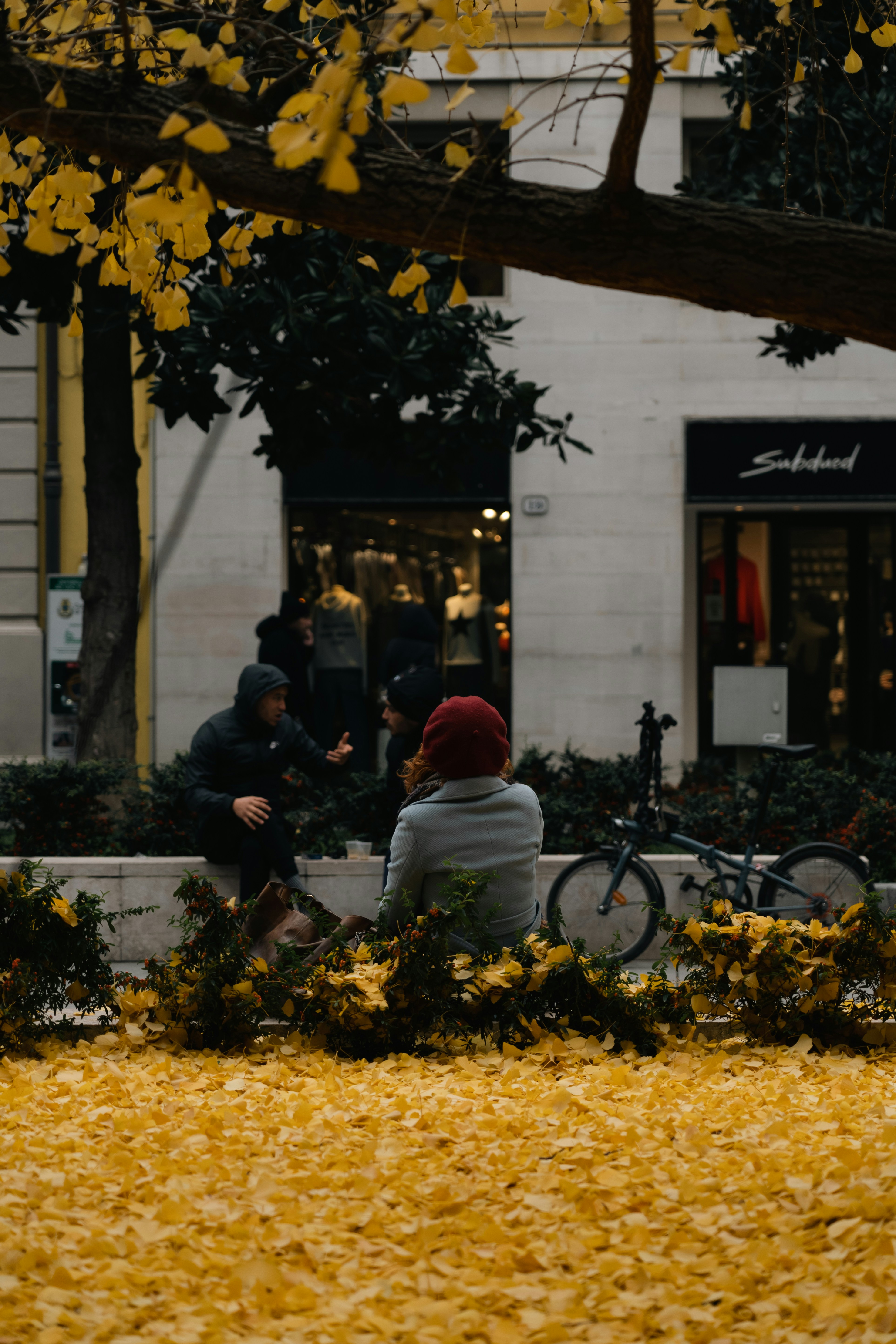 Golden Leaves, Quiet Conversation in a City Plaza