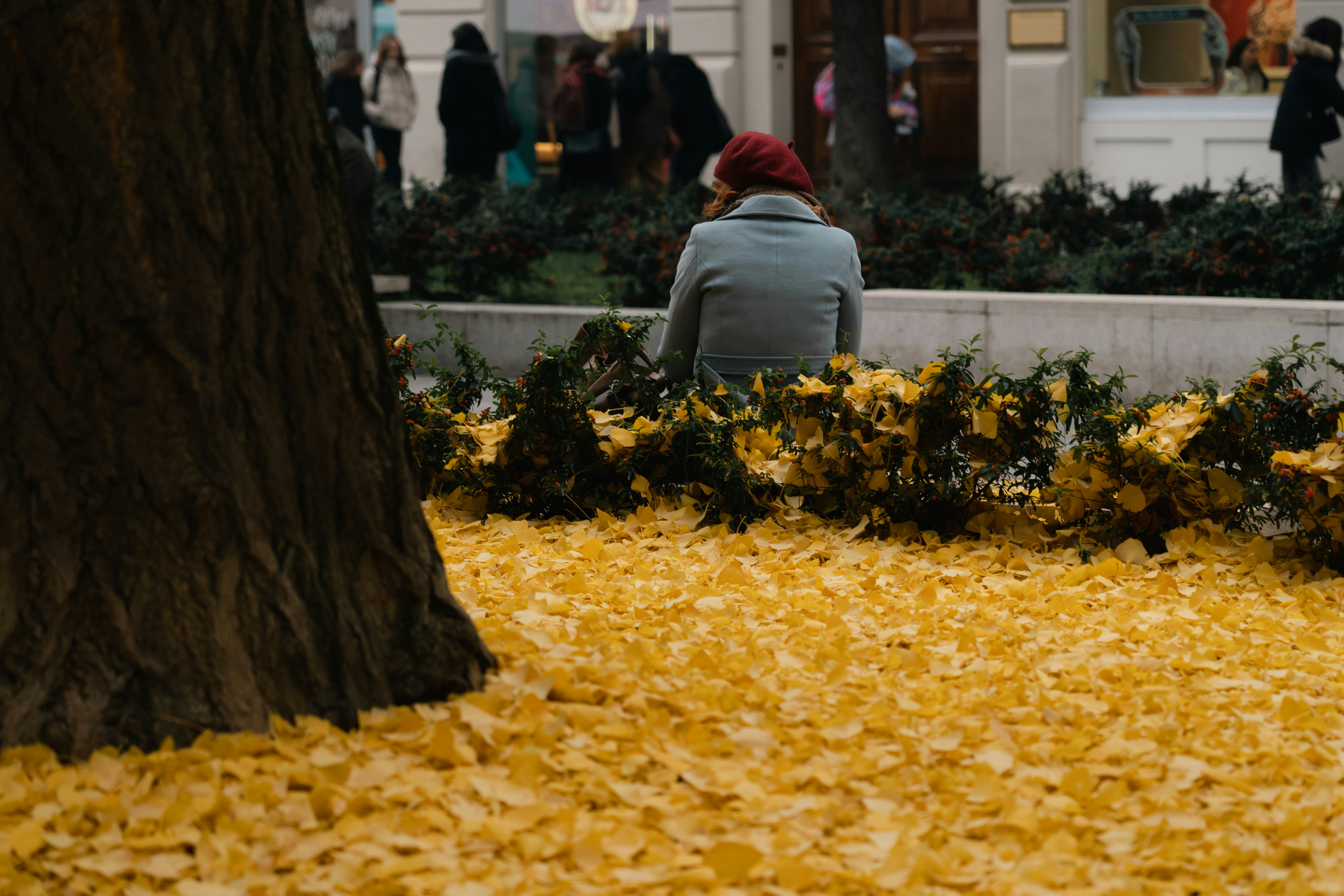 Photo by Uladzislau Petrushkevich with Sony Alpha 7 III