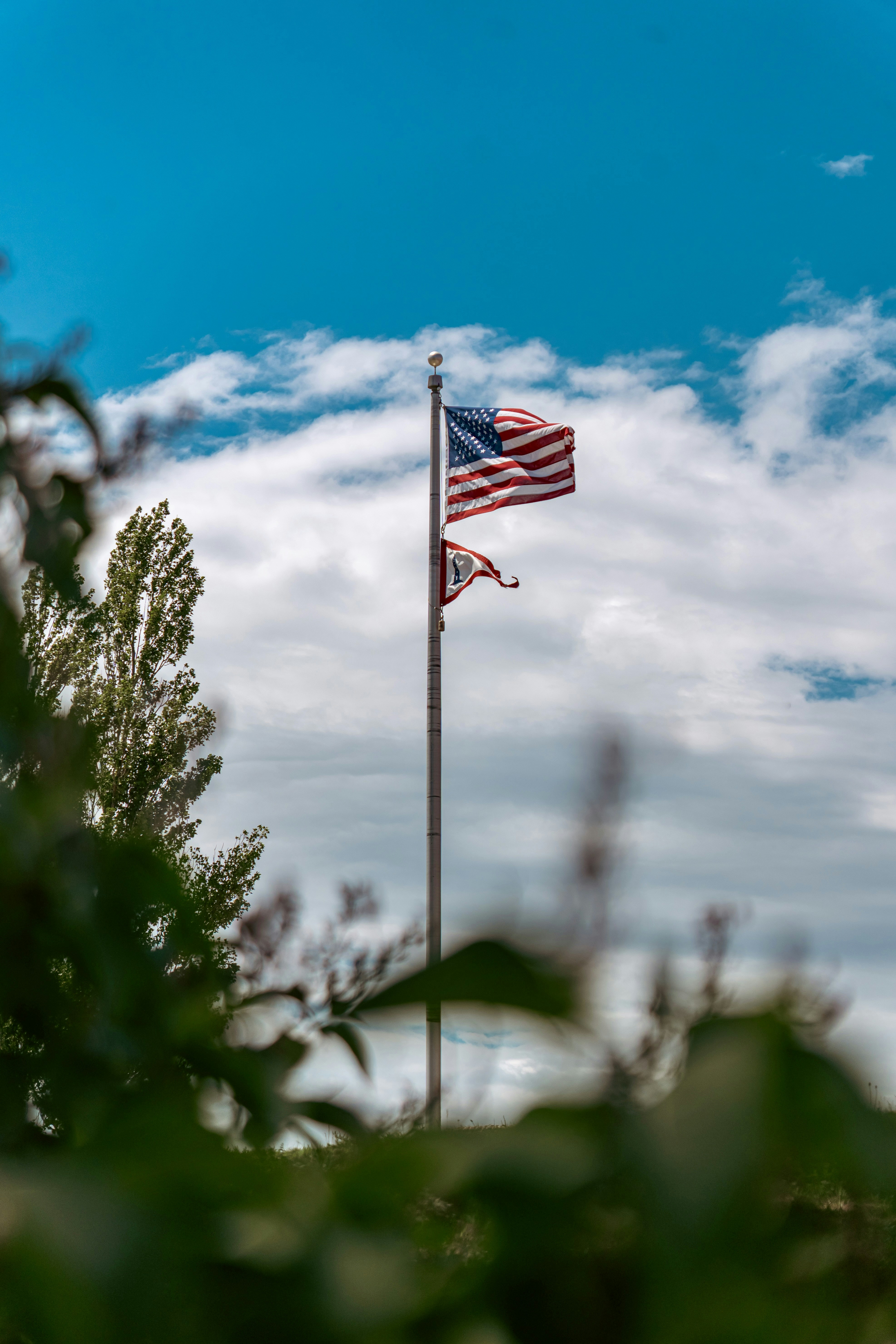 Flagpole Anthem: Flags Flutter Over a Wide Blue Sky, Framed by Greenery